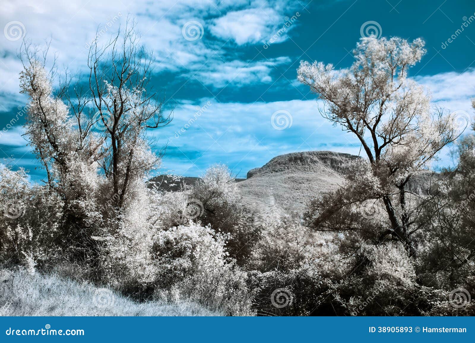 Paesaggio Infrarosso Con Due Alberi E Montagne Immagine Stock ...