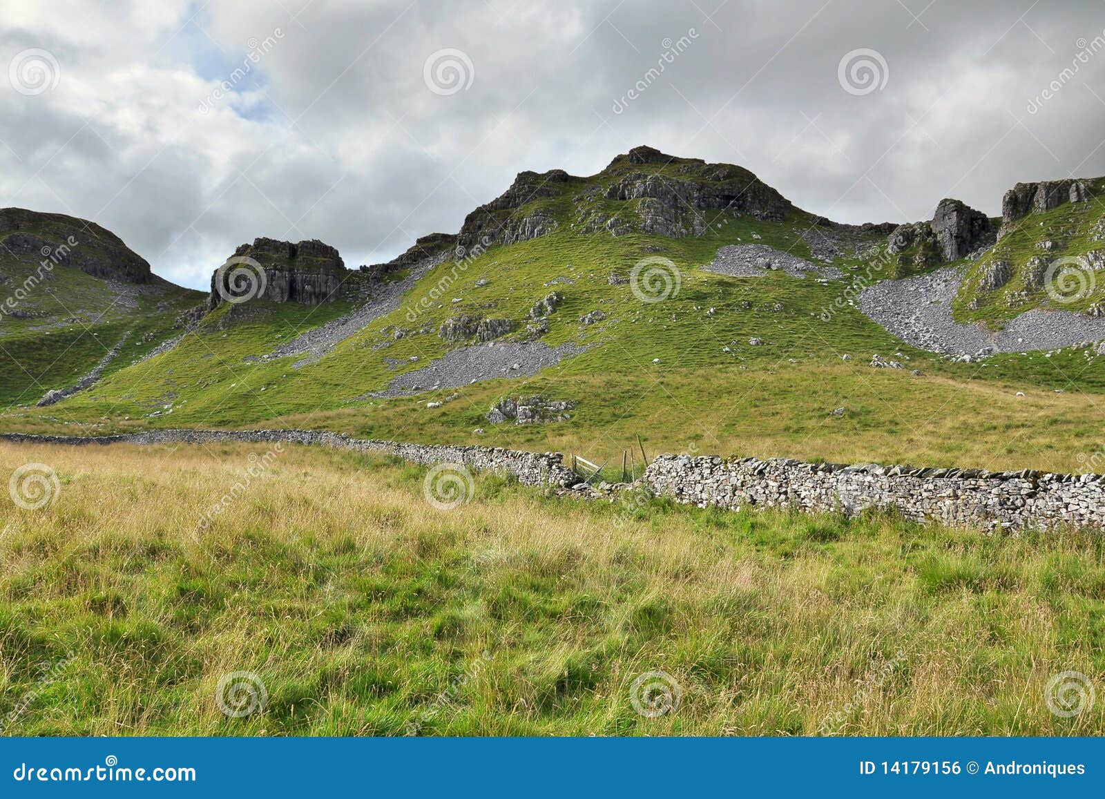 Paesaggio Inglese Tipico Della Campagna Fotografia Stock - Immagine di ...