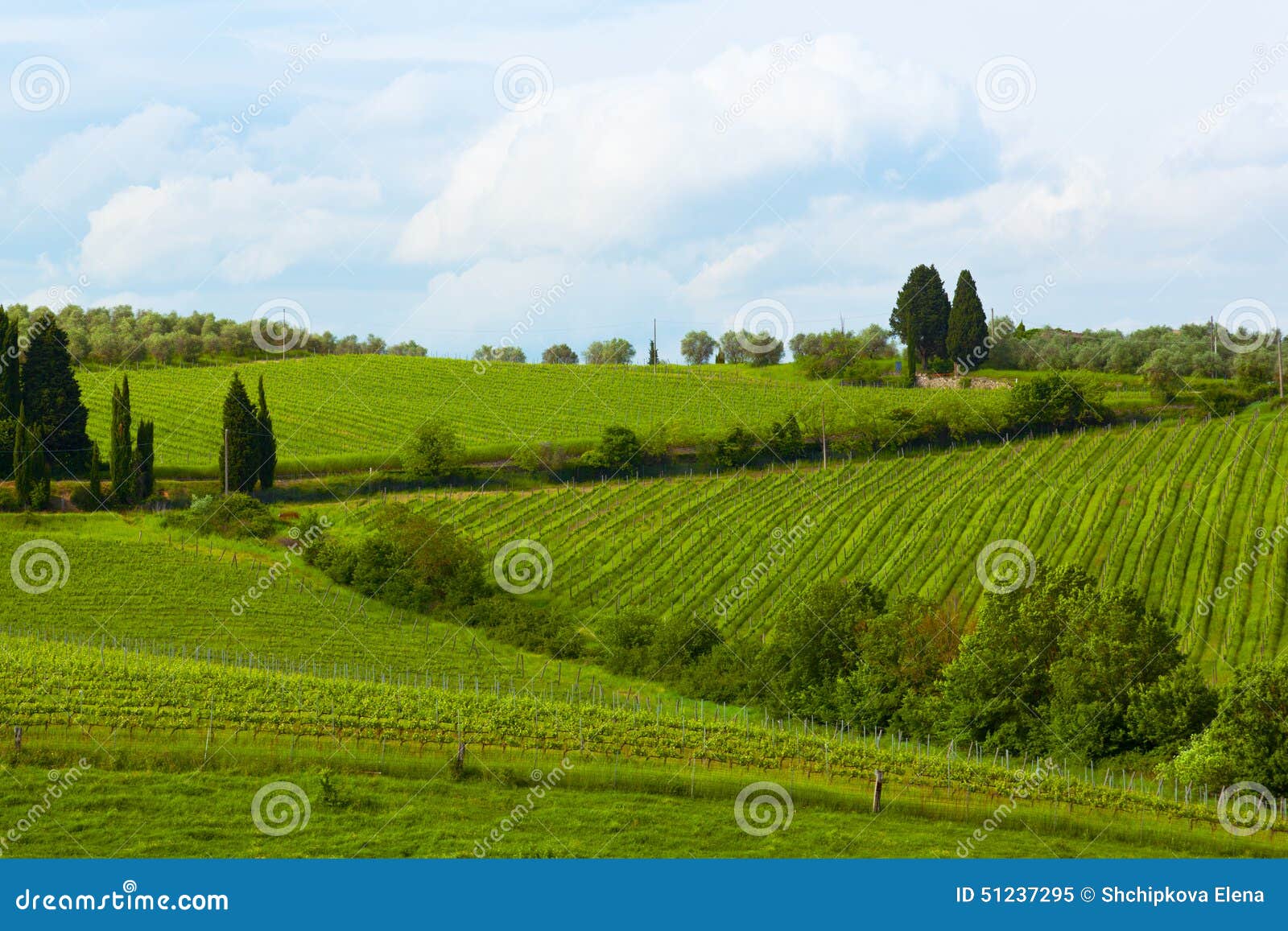 Paesaggio Rurale Di Estate Tipica Immagine Stock - Immagine di nuvoloso ...