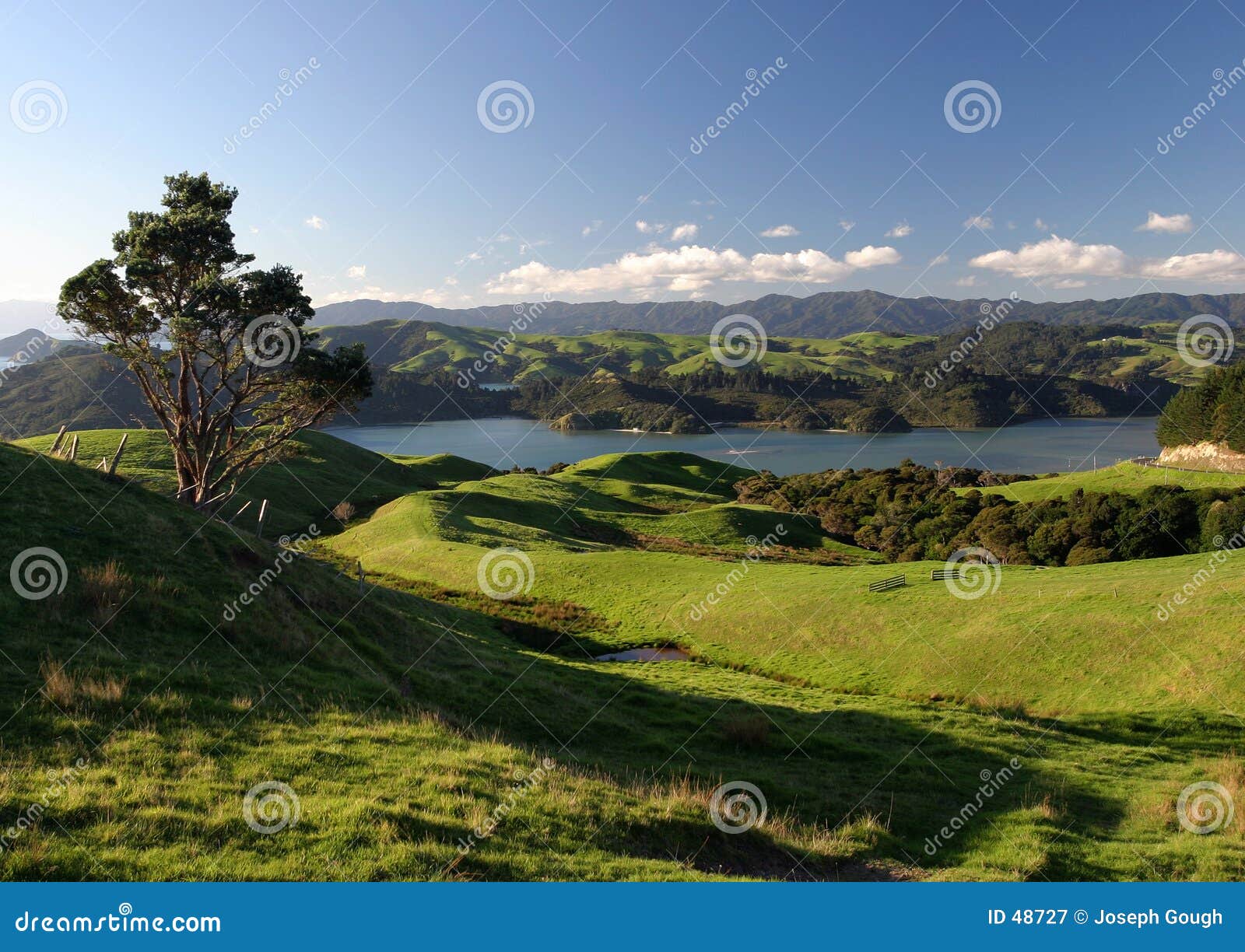 Paesaggio Rurale, Nuova Zelanda Immagine Stock - Immagine di laguna ...