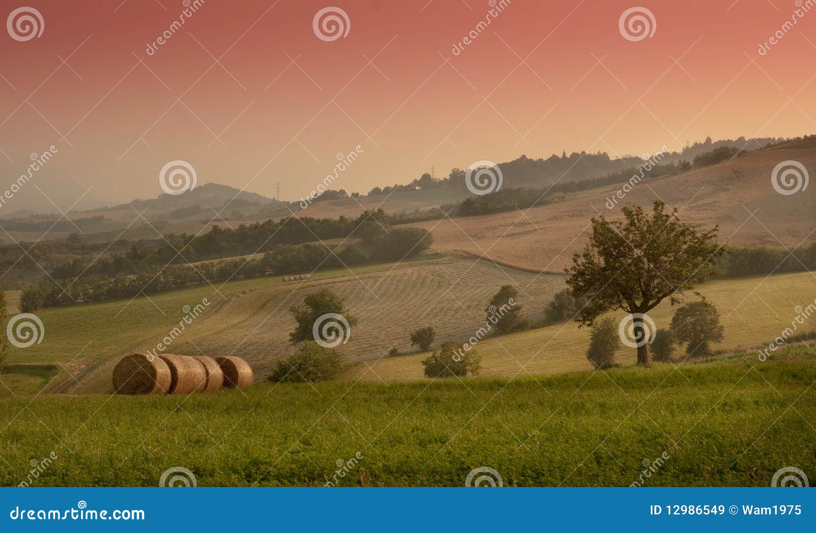 Paesaggio Rurale Pittoresco Immagine Stock - Immagine di vegetazione ...