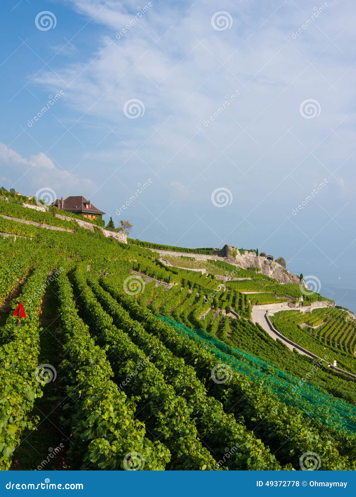 Paesaggio Rurale in Svizzera Fotografia Stock - Immagine di ginevra ...
