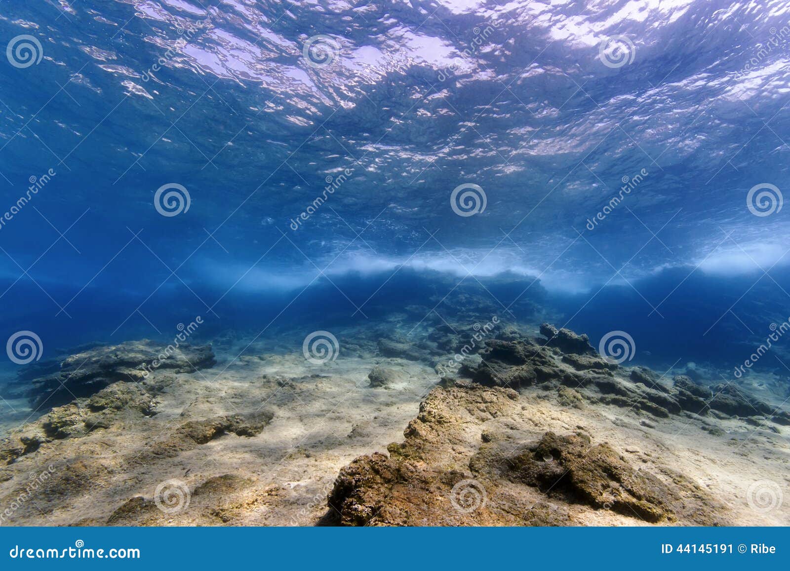 Paesaggio subacqueo immagine stock. Immagine di paesaggio - 44145191