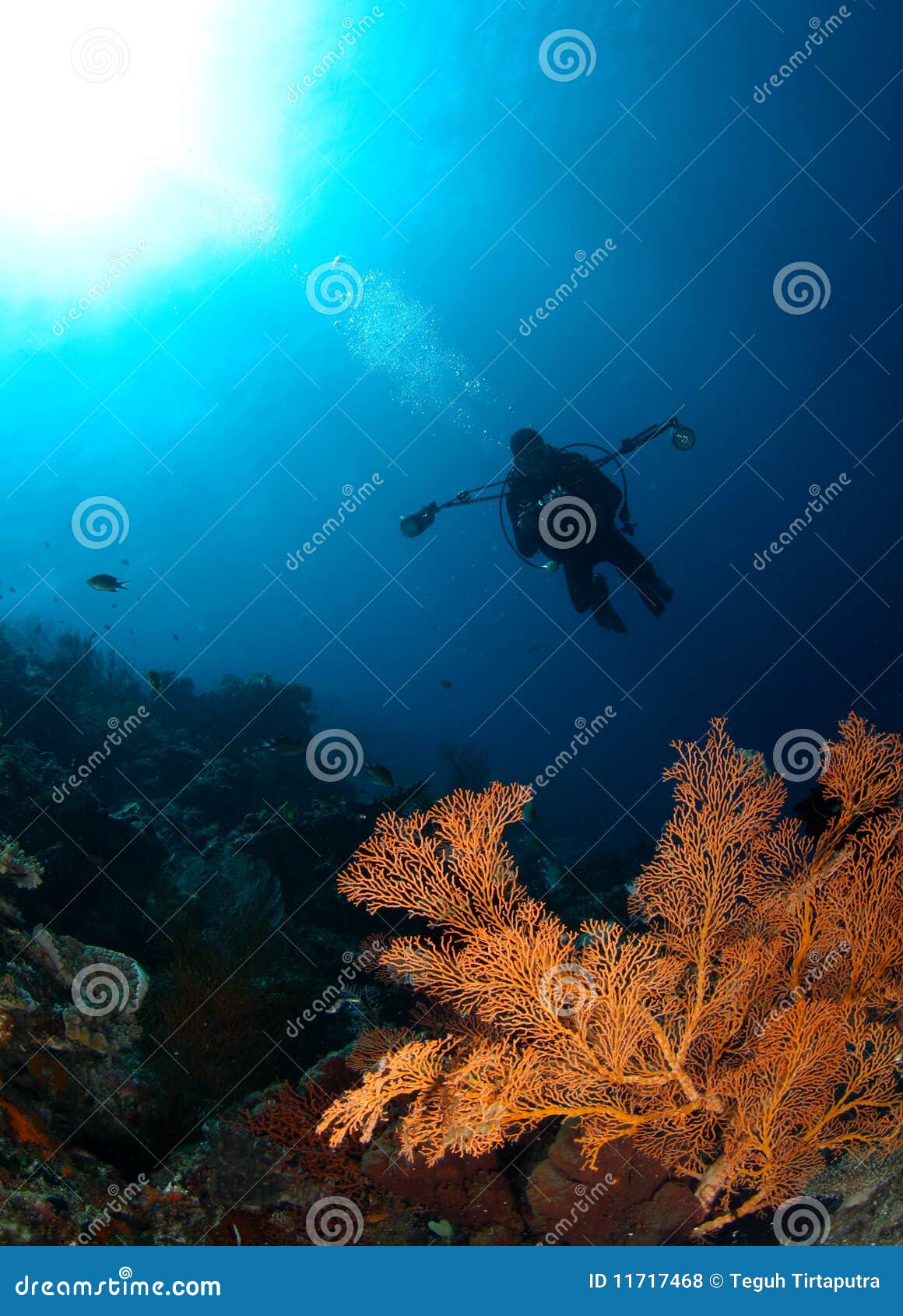 Paesaggio Subacqueo a Bali, Indonesia Fotografia Stock - Immagine di ...