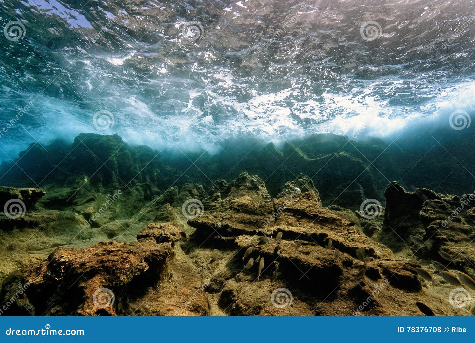 Paesaggio Subacqueo Nel Mediterraneo Fotografia Stock - Immagine di ...