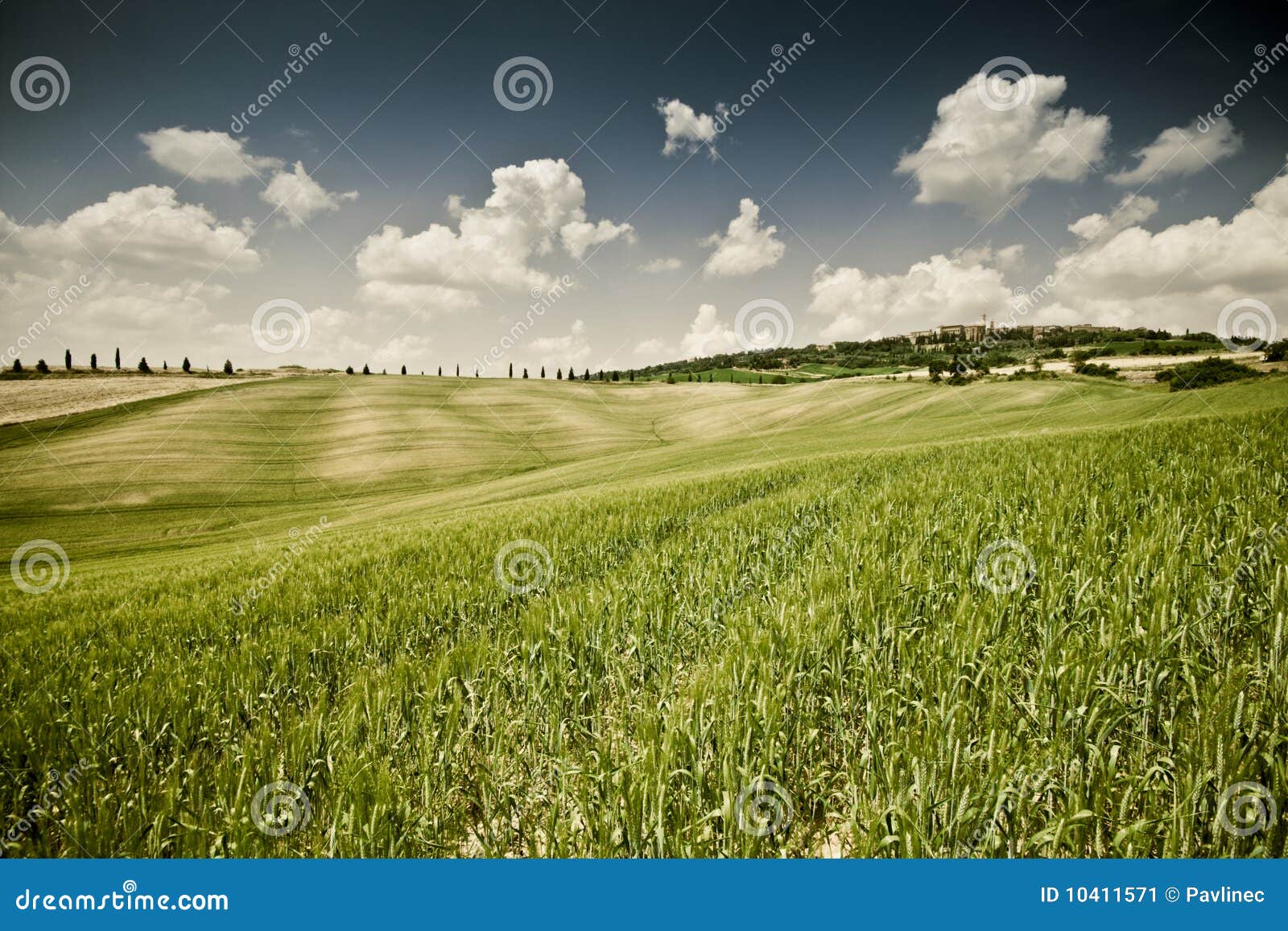 Paesaggio toscano tipico immagine stock. Immagine di scena - 10411571