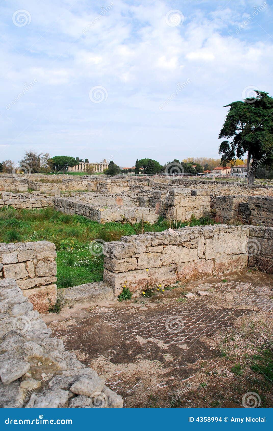 Paestum mosaic floor ruins stock photo. Image of doric - 4358994