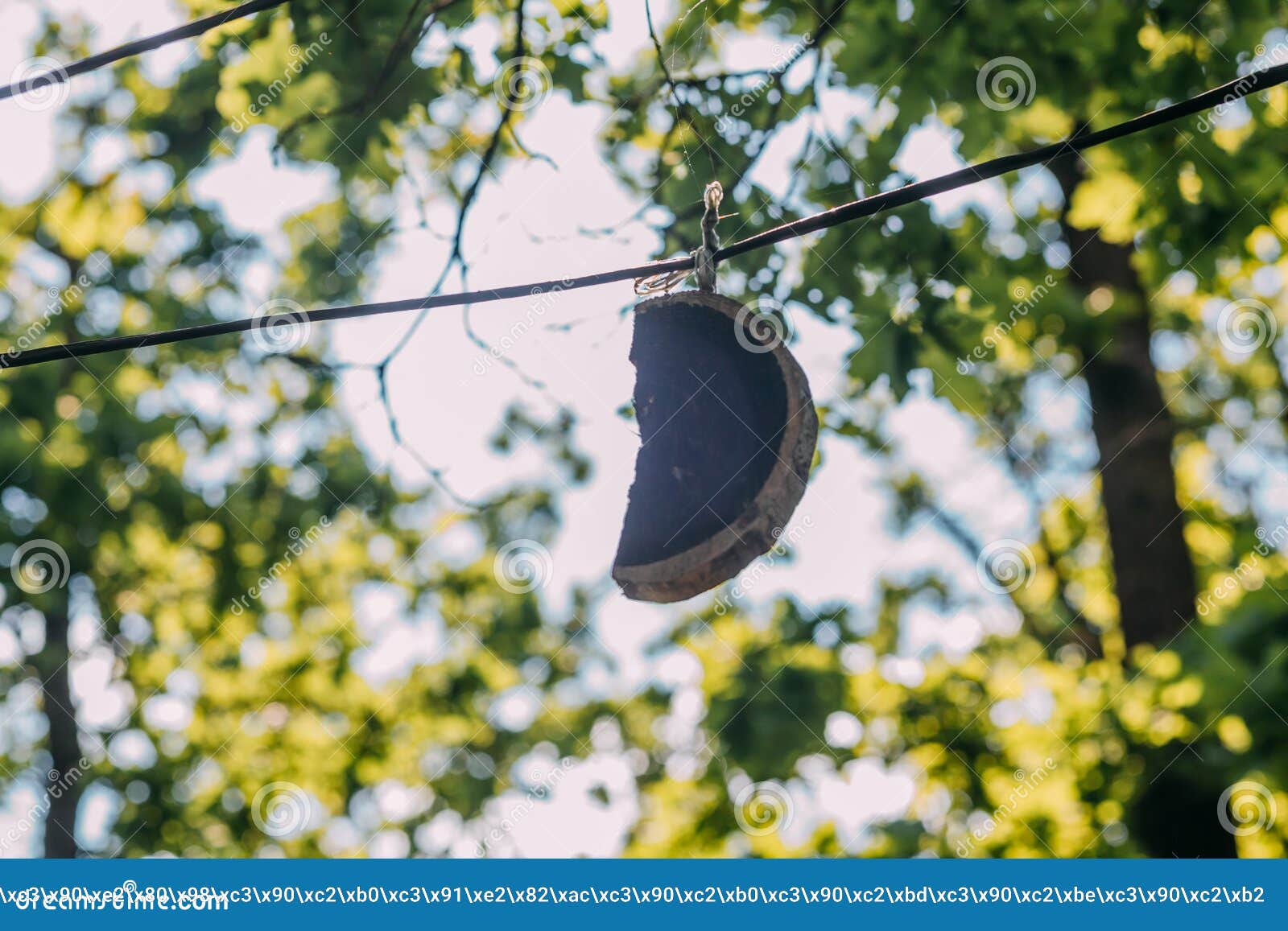 Pagan Devices Hang on a Tree. Stock Photo - Image of beautiful, magic ...