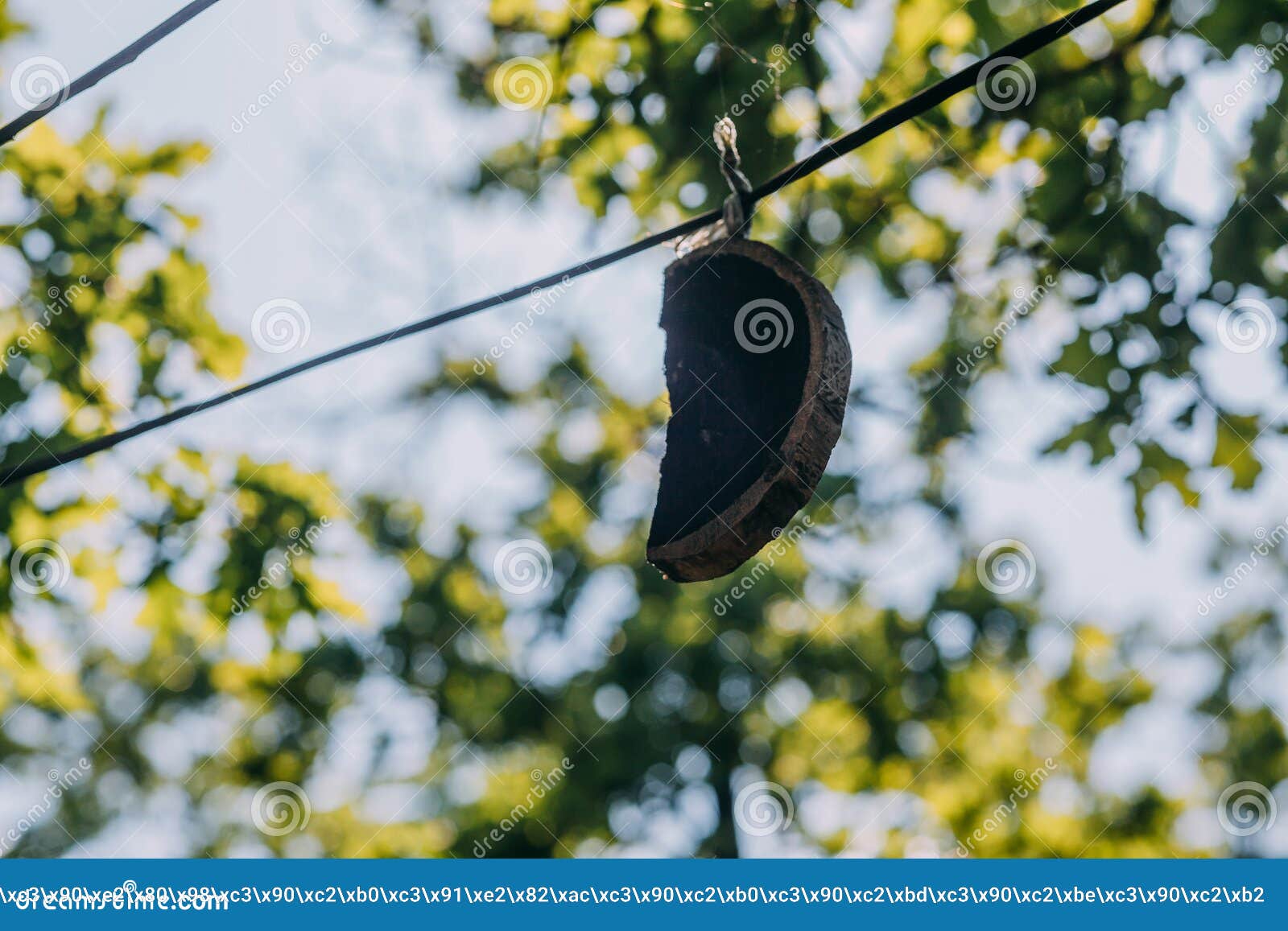 Pagan Devices Hang on a Tree. Stock Photo - Image of male, paganism ...