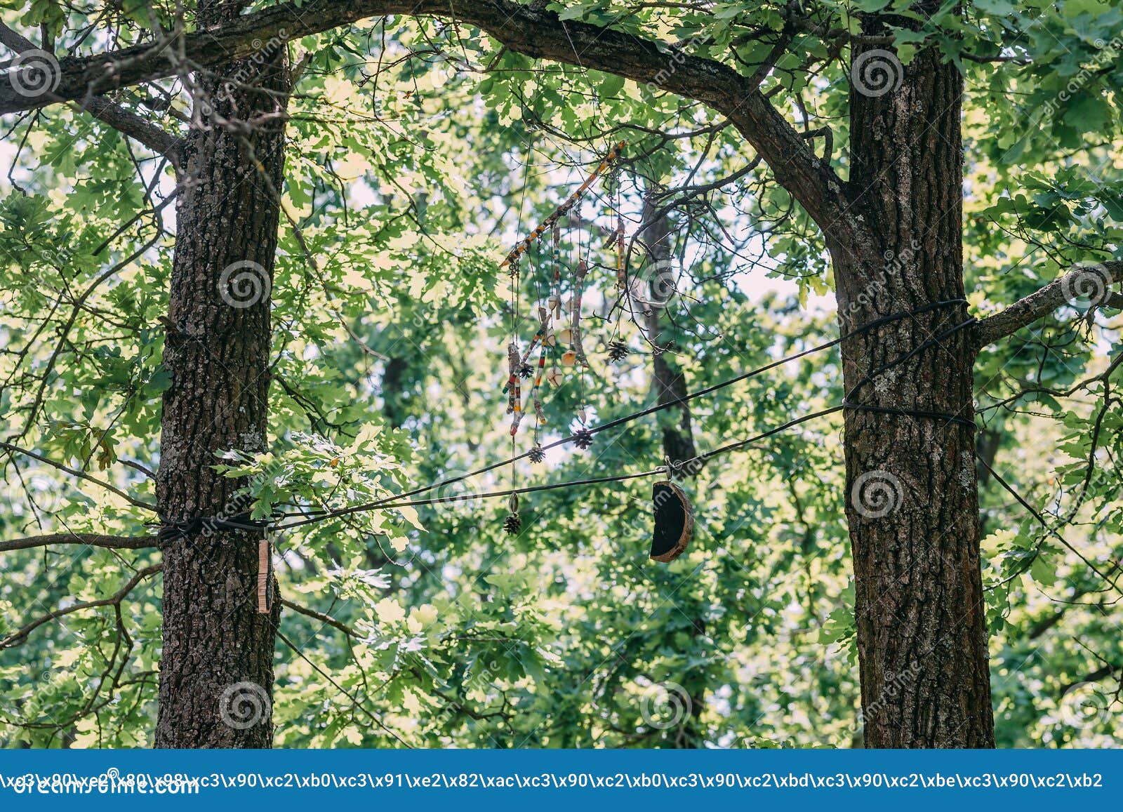 Pagan Devices Hang on a Tree. Stock Image - Image of ancient, beautiful ...