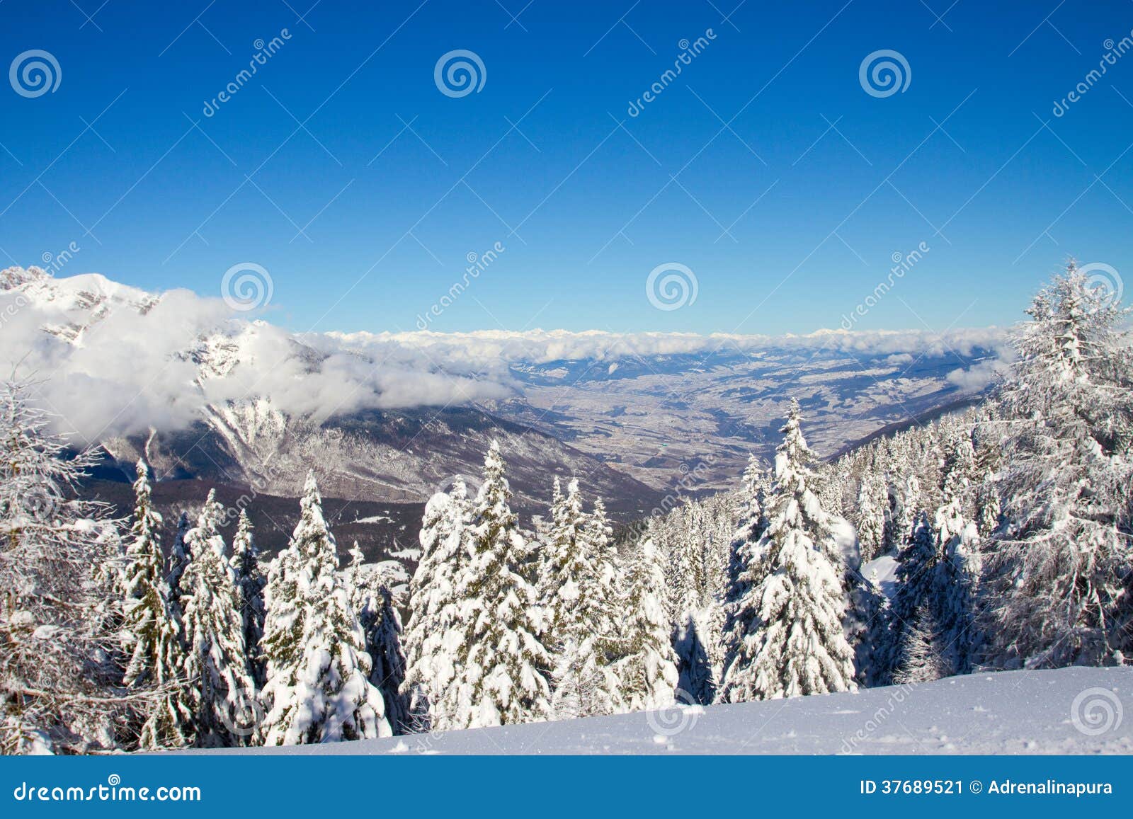 Paganella ski stock image. Image of sports, trento, paganella - 37689521