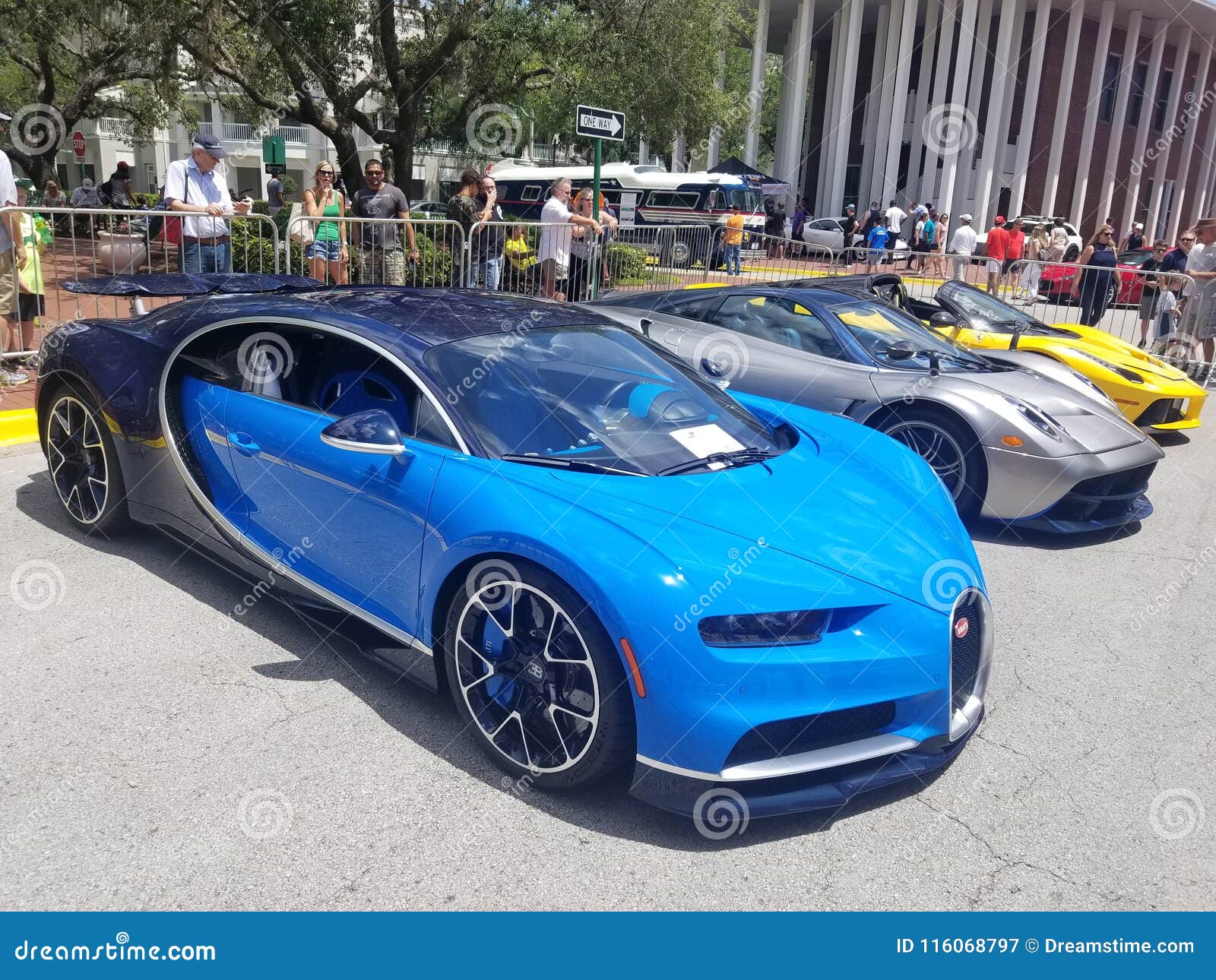 Nice Top Diagonal View of Exotics Editorial Photography - Image of ...