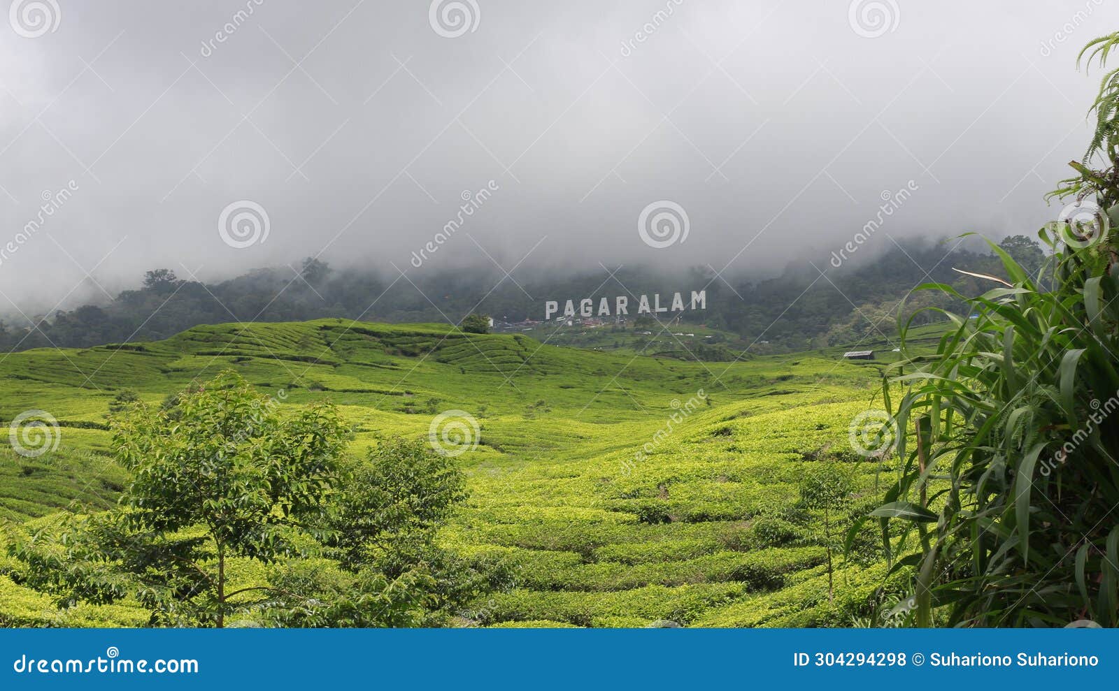 Pagar Alam Monument with Tea Garden View Stock Photo - Image of cloudy ...