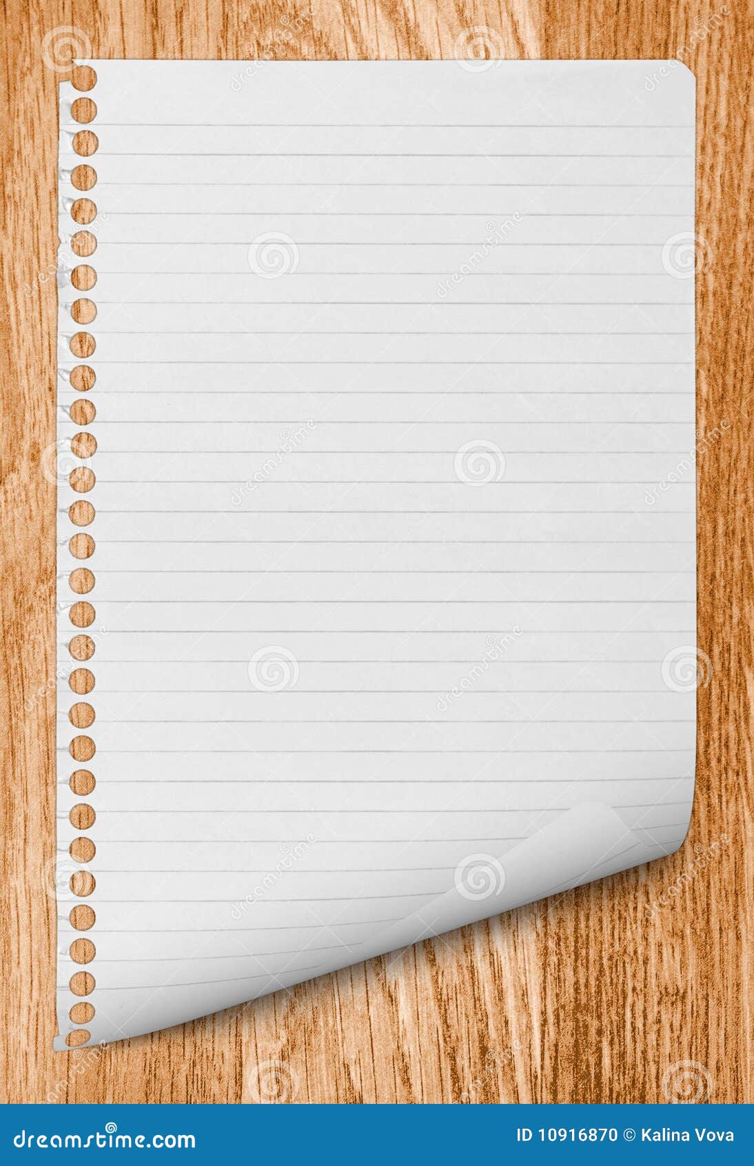 Page stock photo. Image of paper, notice, journal, blank - 10916870