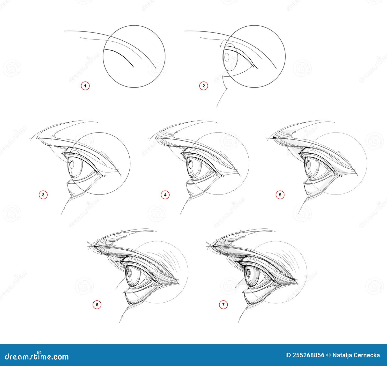 How To Draw A Human Eye Step By Step