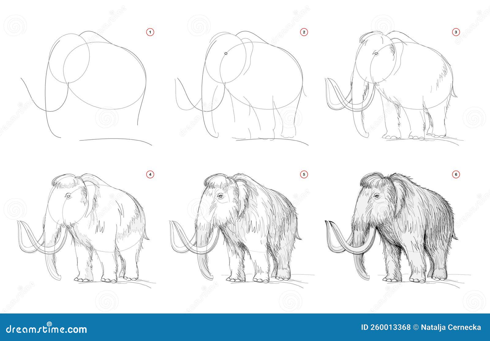 Page Shows How To Learn To Draw Sketch of Mammoth. Creation Step by ...