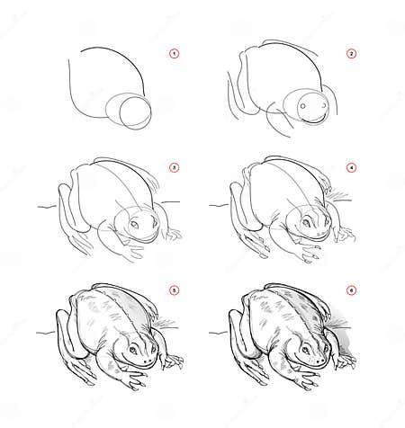 Page Shows How To Learn To Draw Sketch of Toad. Creation Step by Step ...