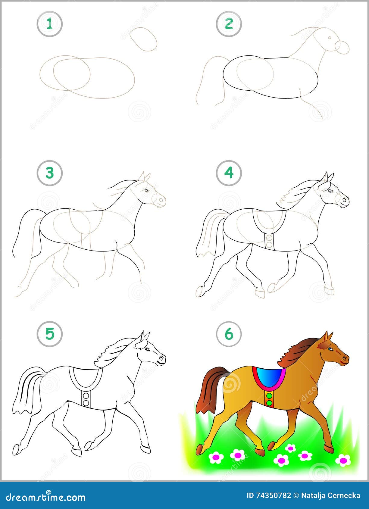 Page Shows How To Learn Step by Step To Draw a Horse. Stock Vector ... Page Shows How To Learn Step by Step To Draw a Horse. Stock Vector ...