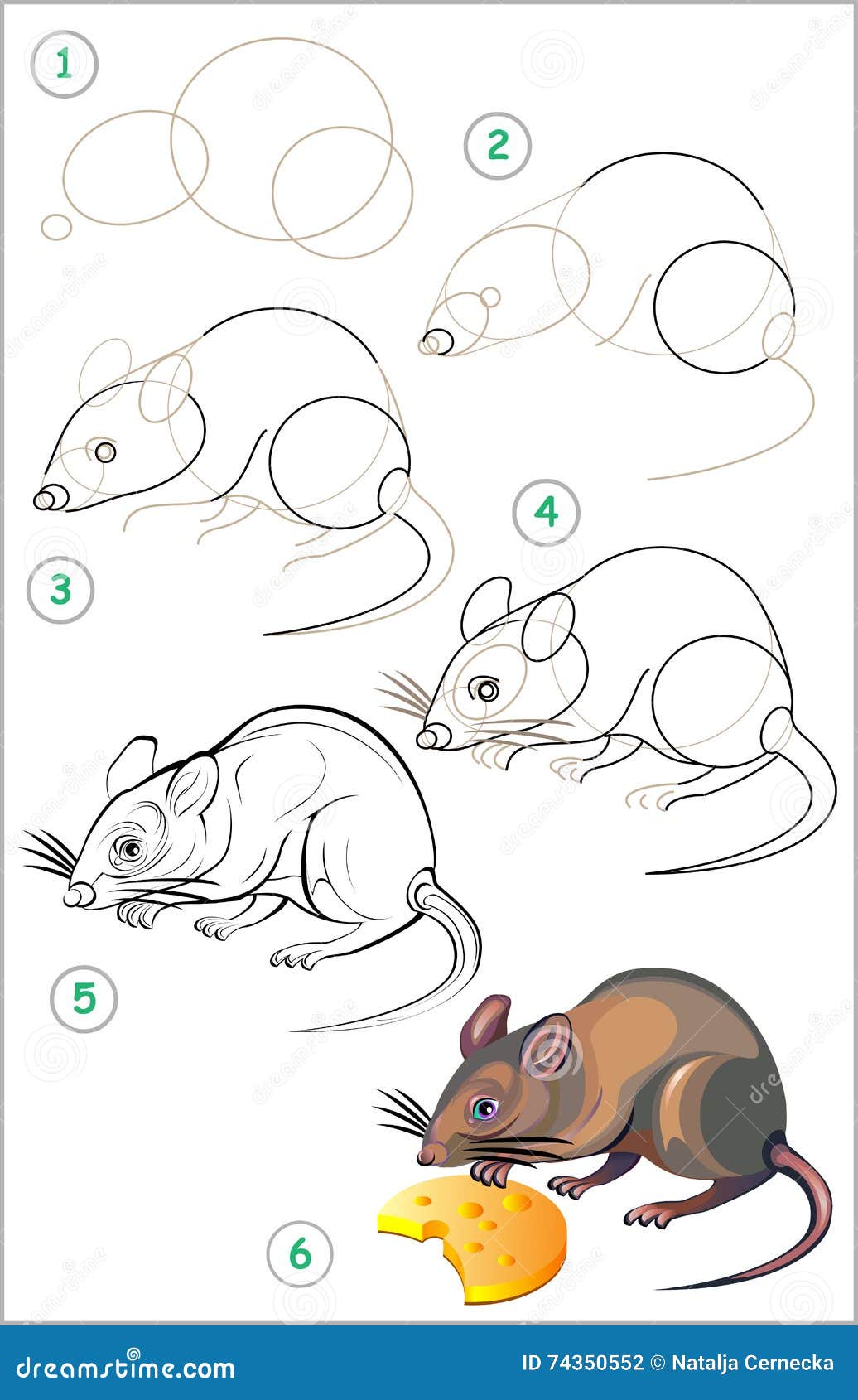 Page Shows How To Learn Step by Step To Draw a Rat. Stock Vector ... Page Shows How To Learn Step by Step To Draw a Rat. Stock Vector ...