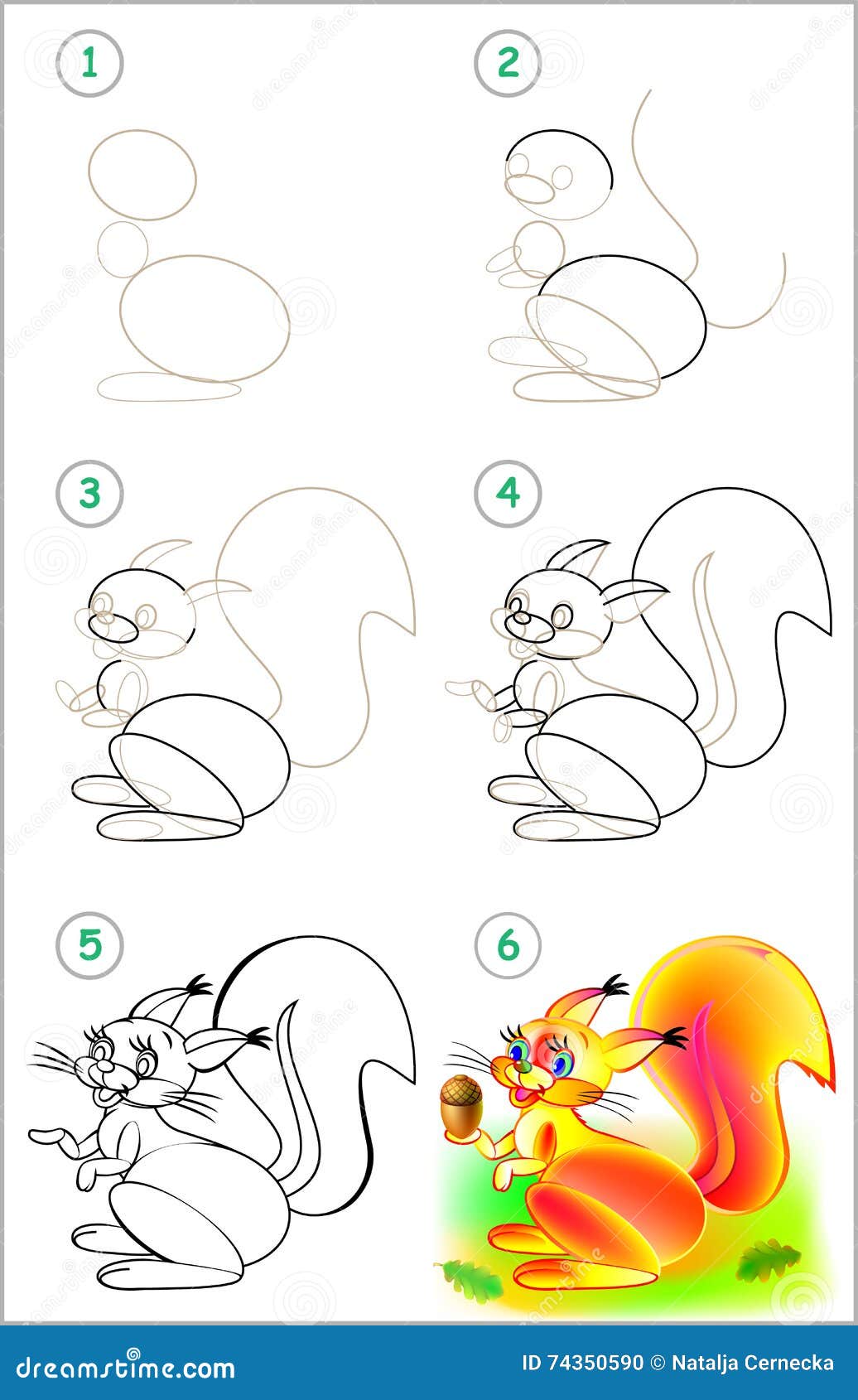 Page Shows How To Learn Step by Step To Draw a Squirrel. Stock Vector ...