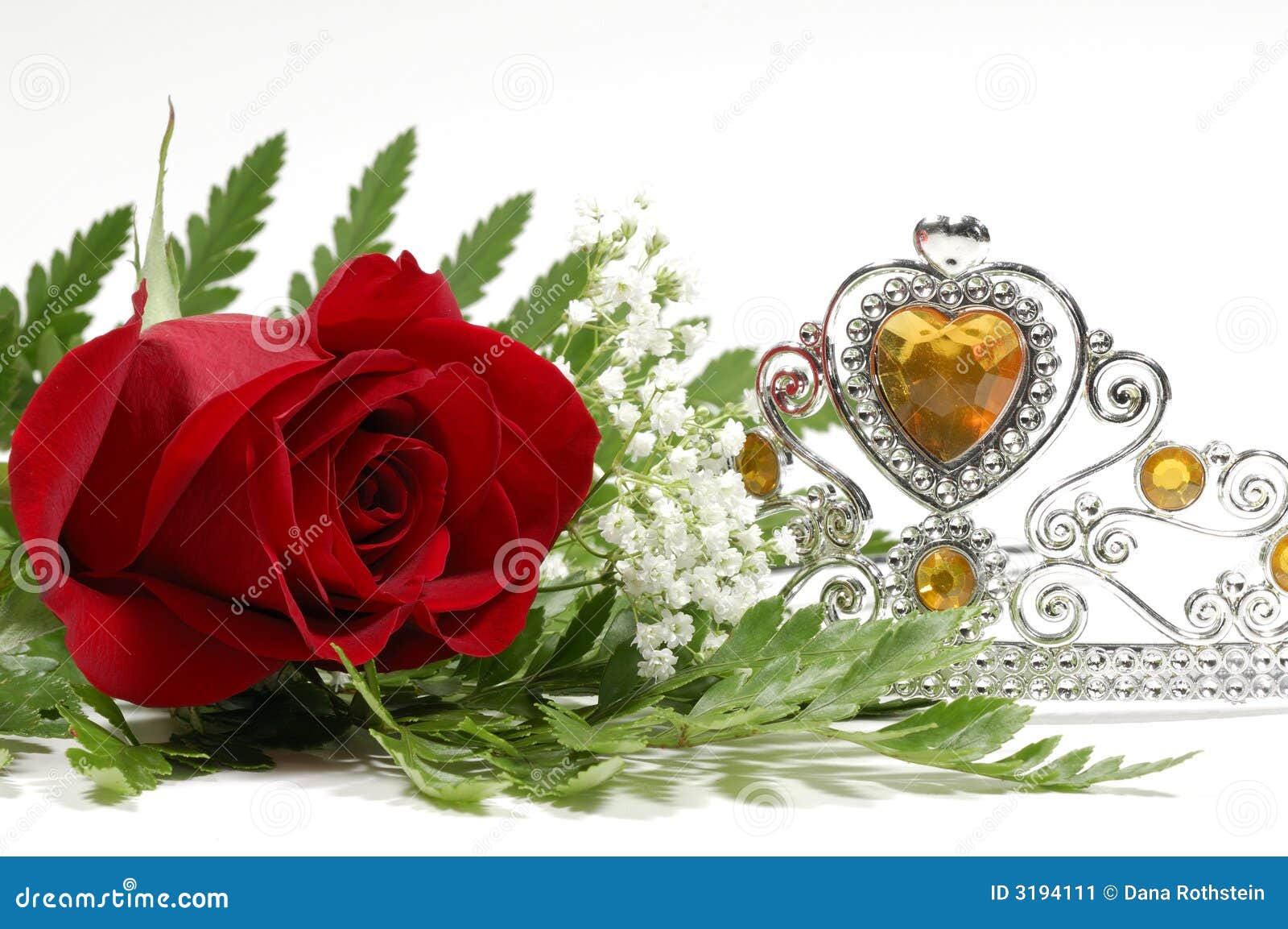 Pageant stock image. Image of rose, flower, love, event - 3194111