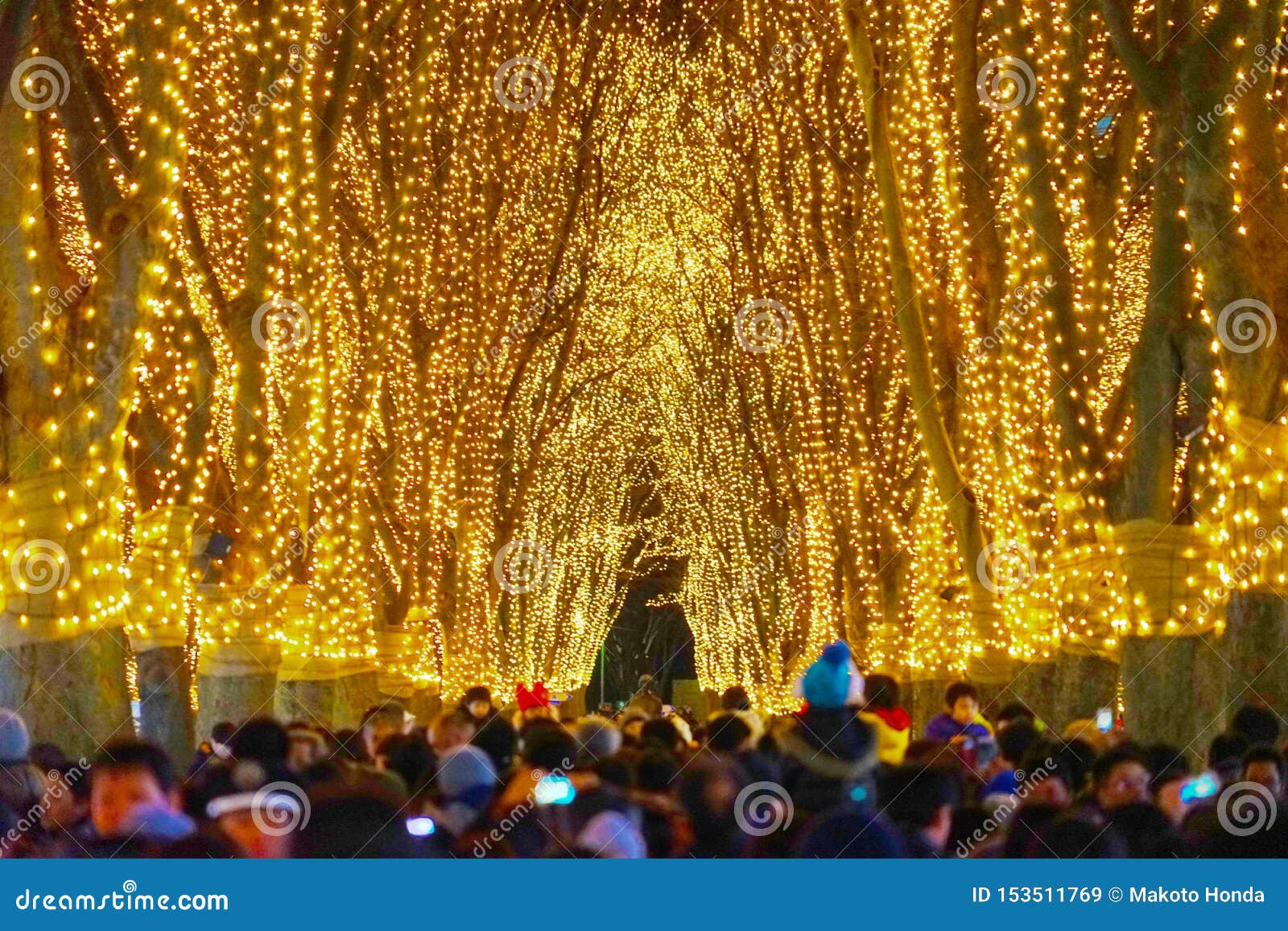 Pageant Image of Sendai Light Stock Image - Image of leaves ...