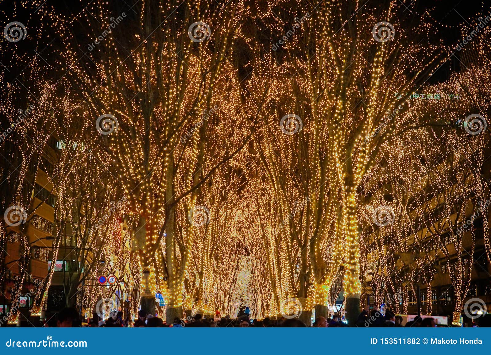Pageant Image of Sendai Light Stock Photo - Image of night, christmas ...