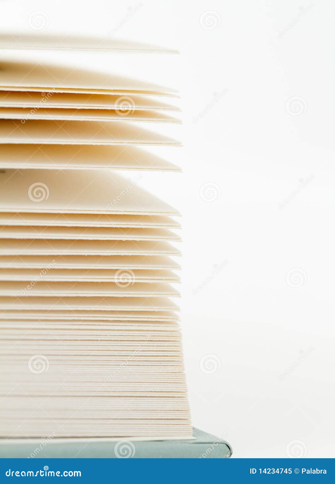 Pages of a book 2 stock image. Image of page, isolated - 14234745