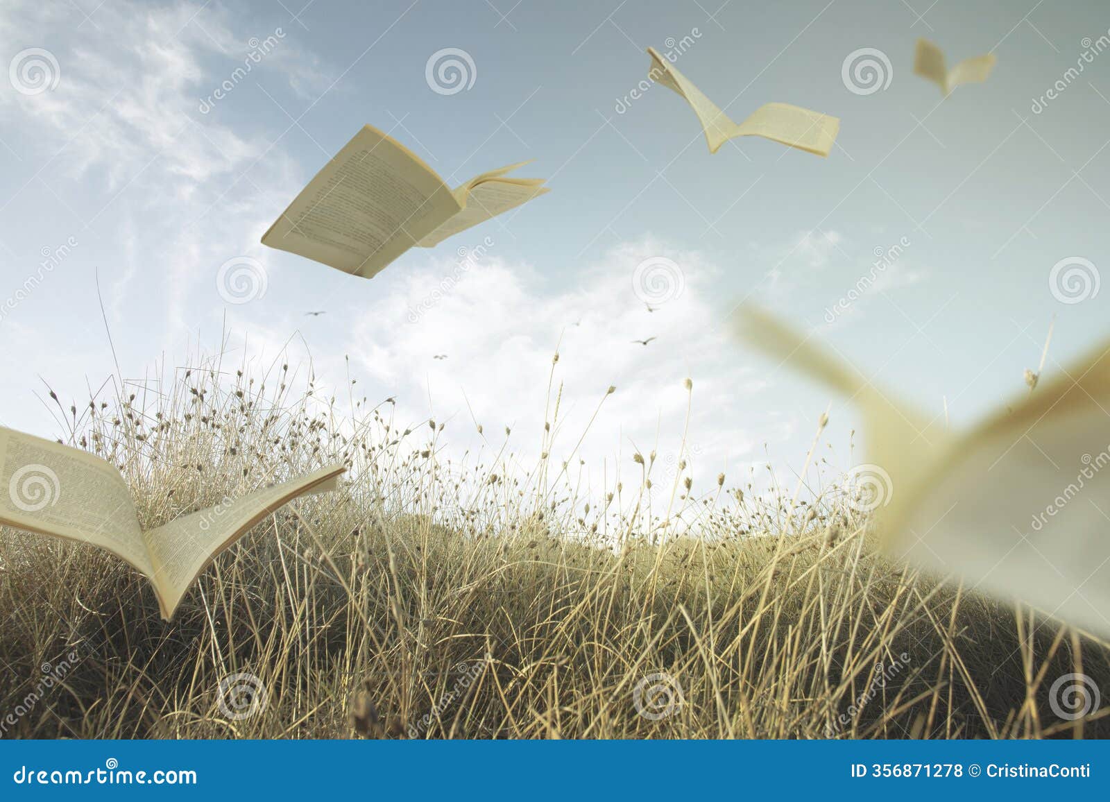 Old Book With Flying Letters And Magic Light On The Background Of The ...