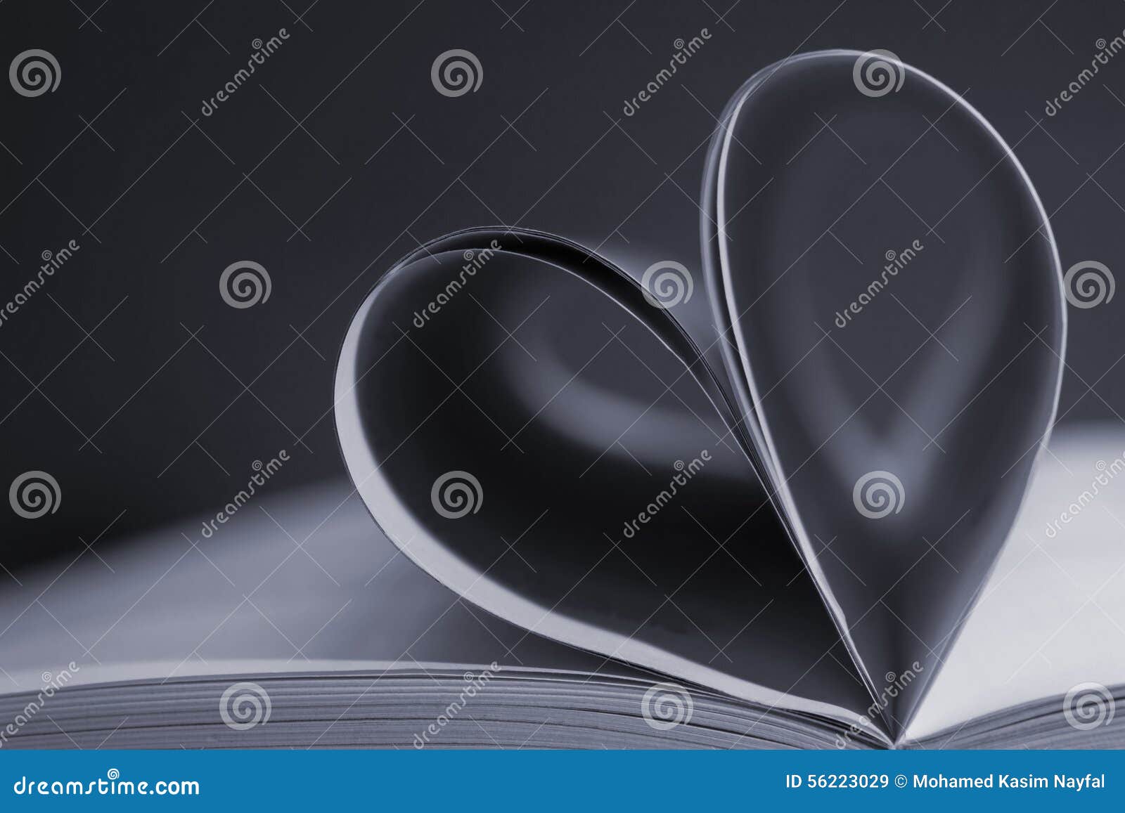 Pages of a Book Forming the Shape of the Heart. Stock Image - Image of ...