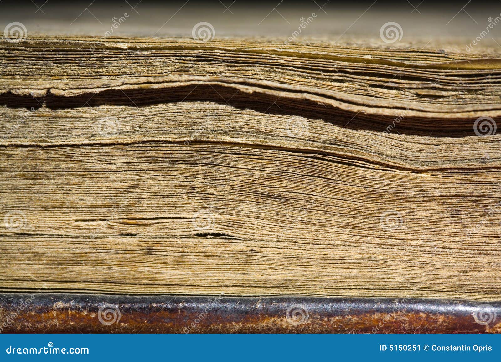 Pages in old book stock image. Image of detailed, deteriorates - 5150251