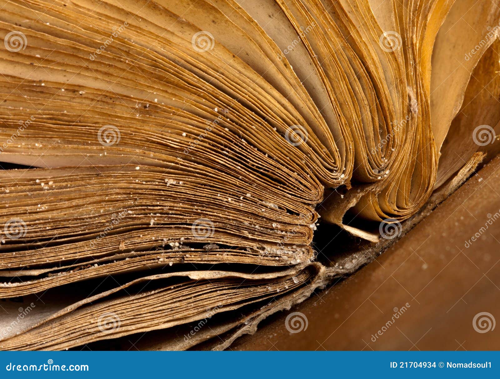 Pages of open ancient book stock photo. Image of revival - 21704934