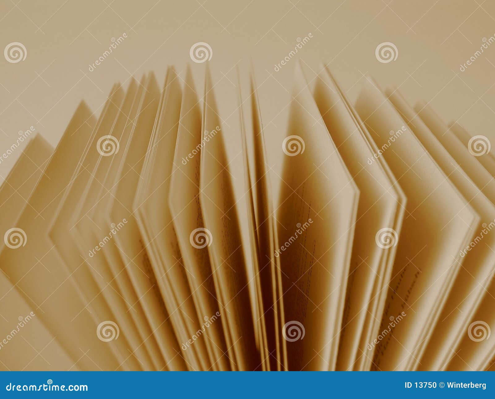 Pages of an Open Book stock photo. Image of read, books - 13750