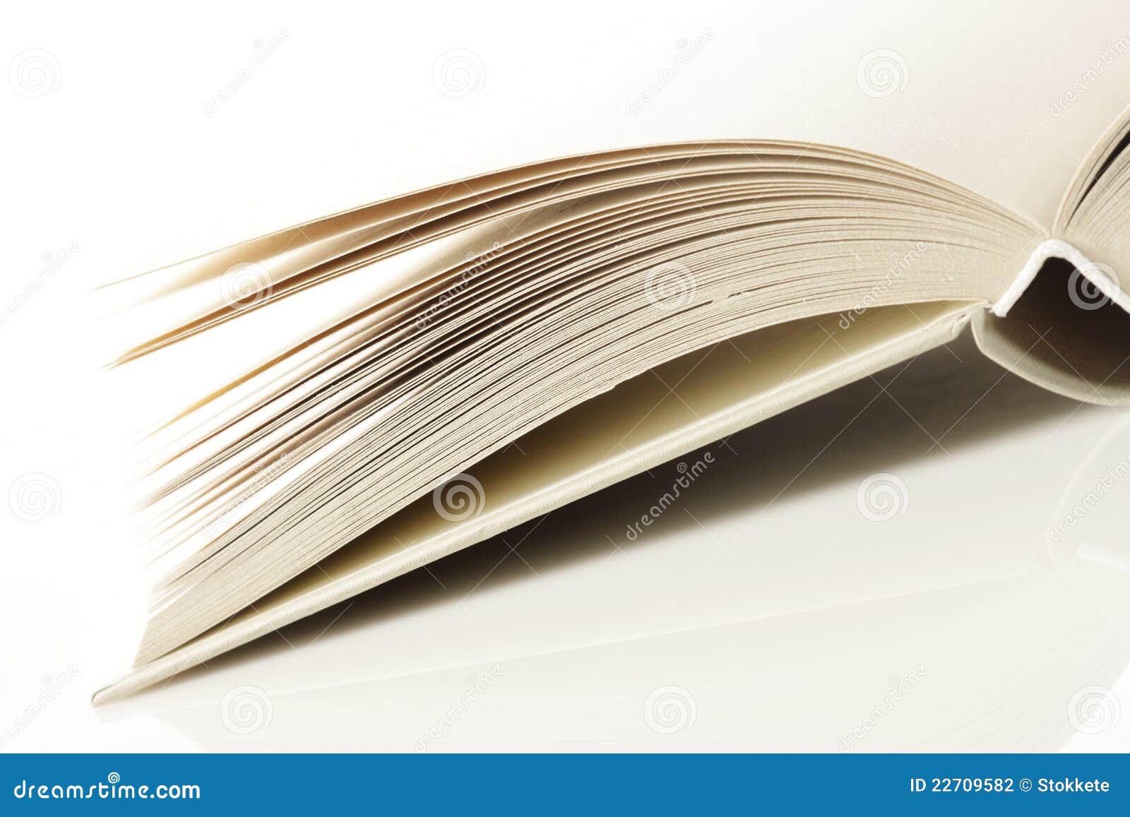 Pages of an open book stock photo. Image of text, dictionary - 22709582