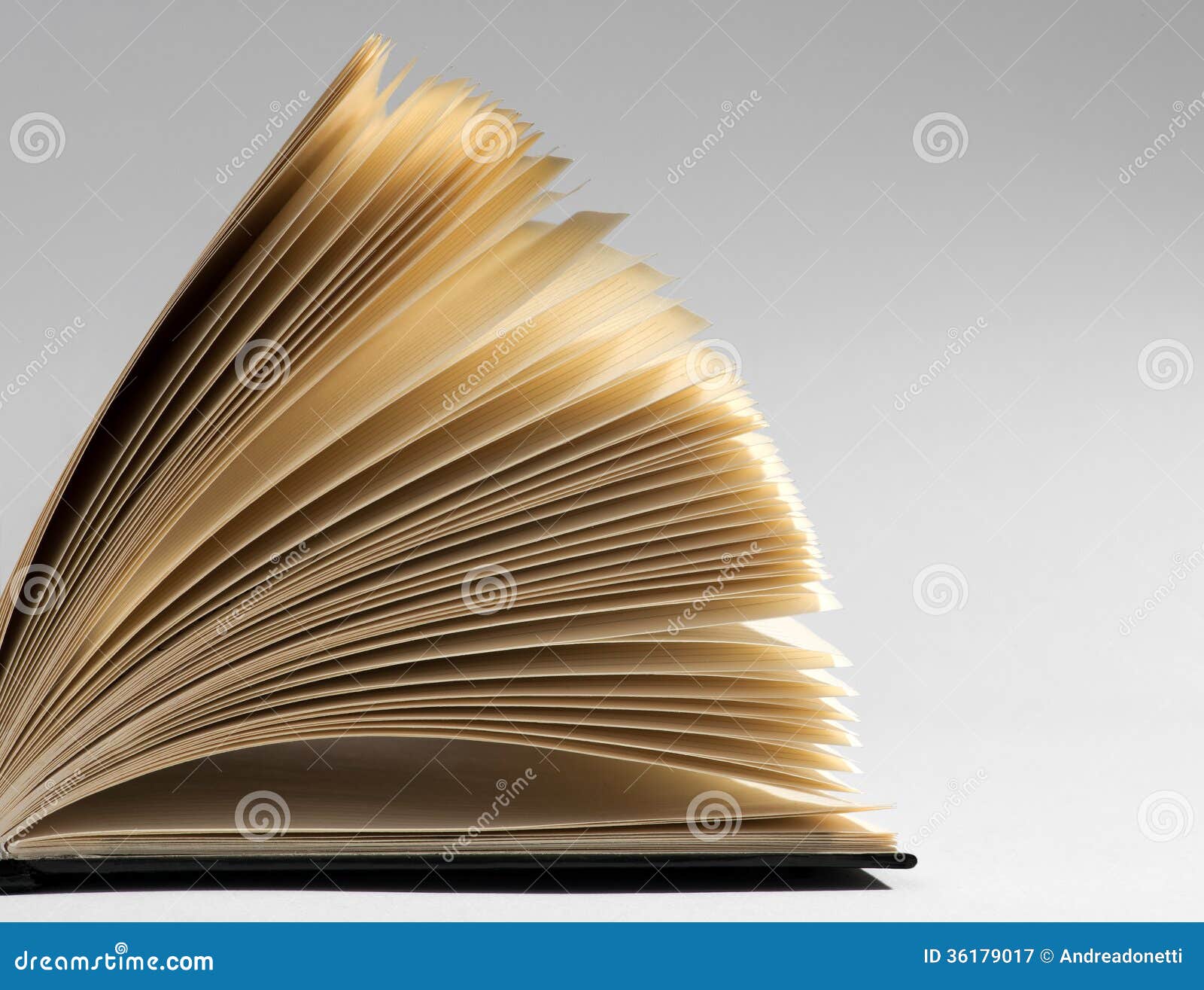 Pages of an open book stock image. Image of schedule - 36179017