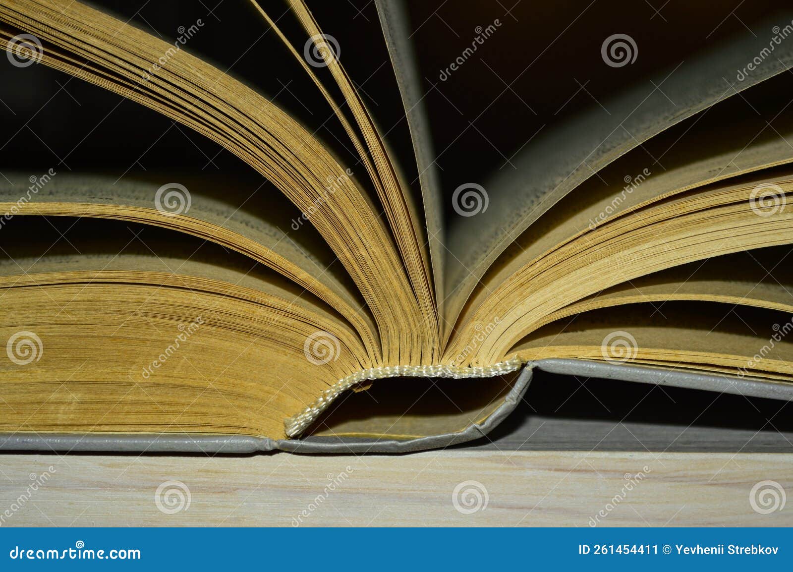 Pages of an Unfolded Book Close-up Stock Image - Image of learning ...
