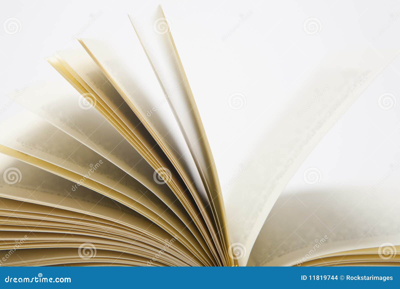 Pagine di un libro aperto fotografia stock. Immagine di legge - 11819744