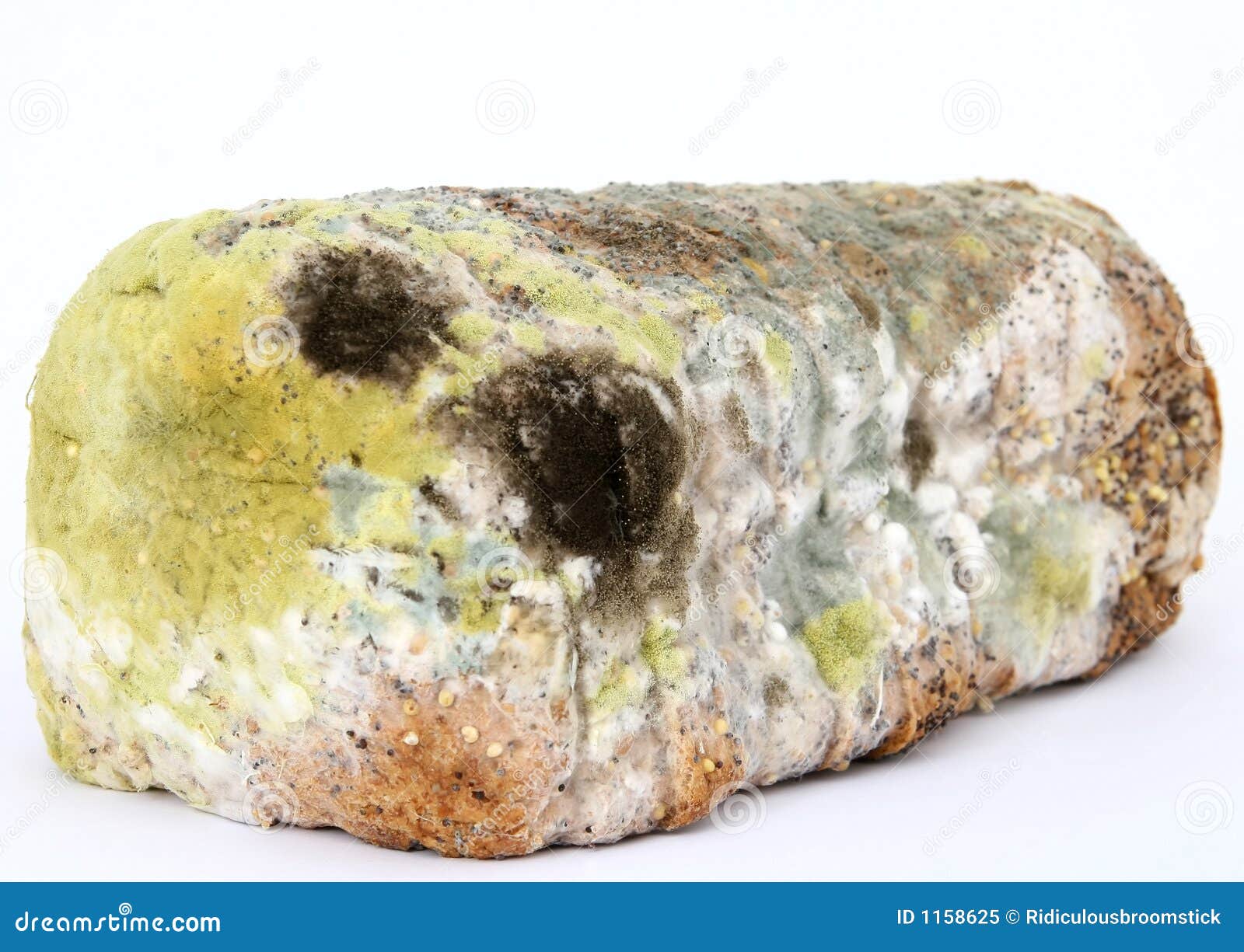 Pagnotta Di Pane Marrone Ammuffito Immagine Stock - Immagine di insetto ...