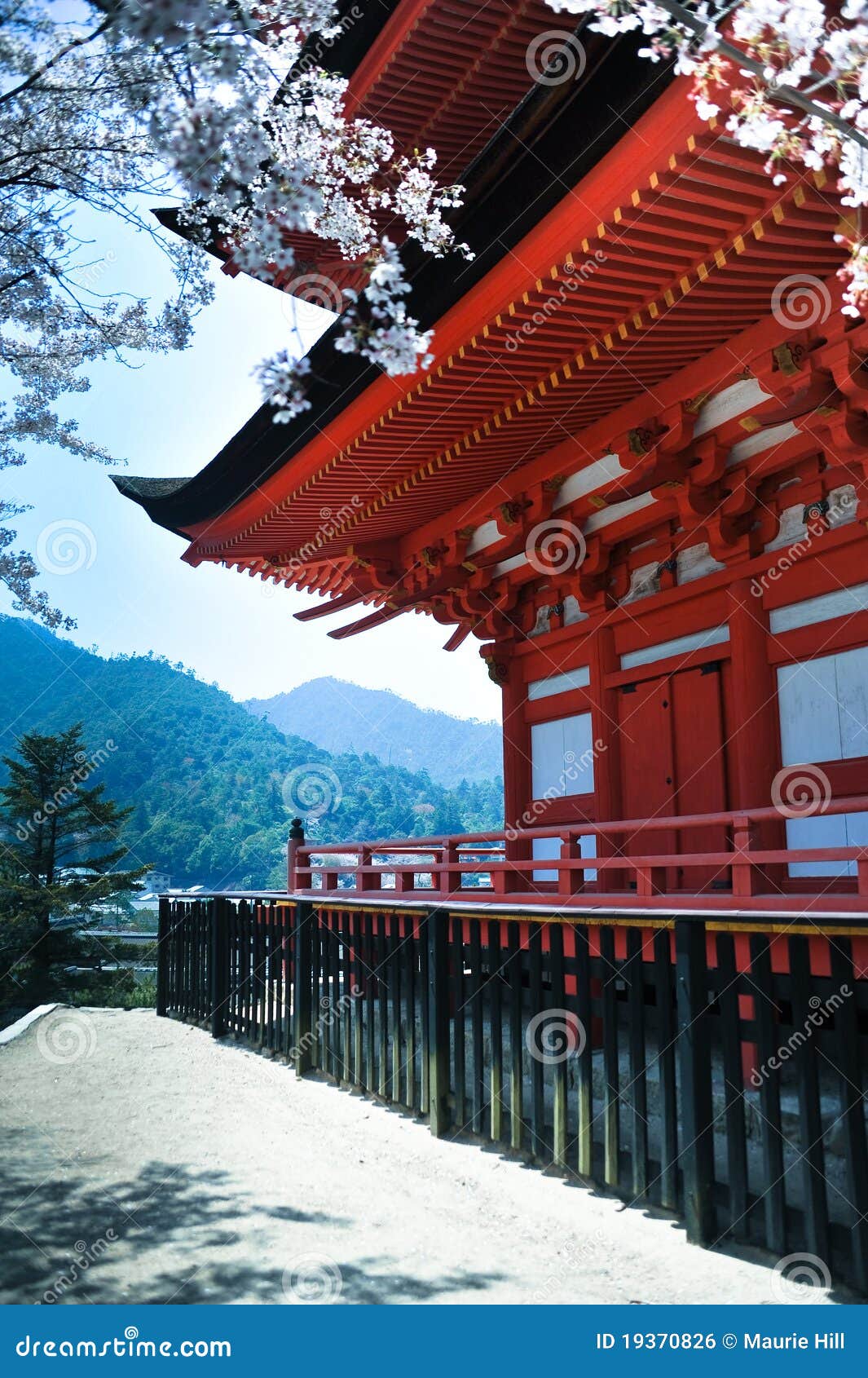 Pagoda in Miyajima stock photo. Image of japan, blossoms - 19370826