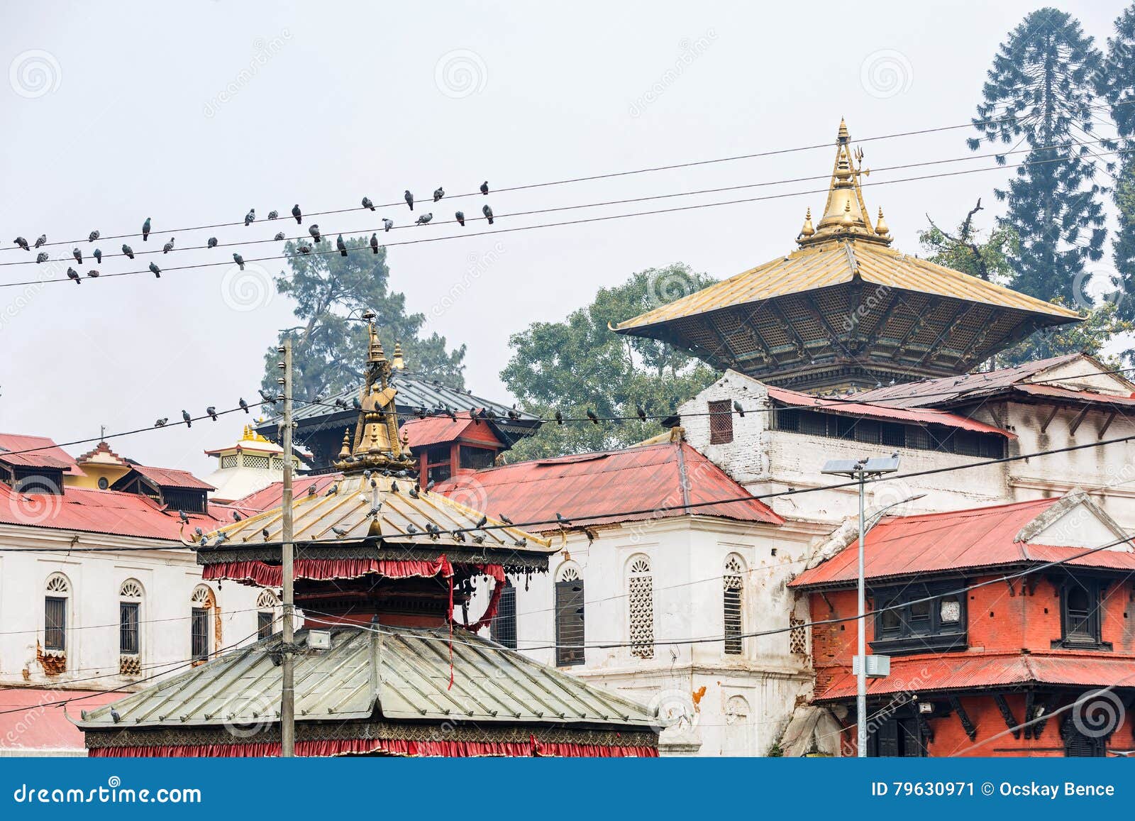 Pagoda Style Temples of Pashupatinath Stock Image - Image of oldest ...