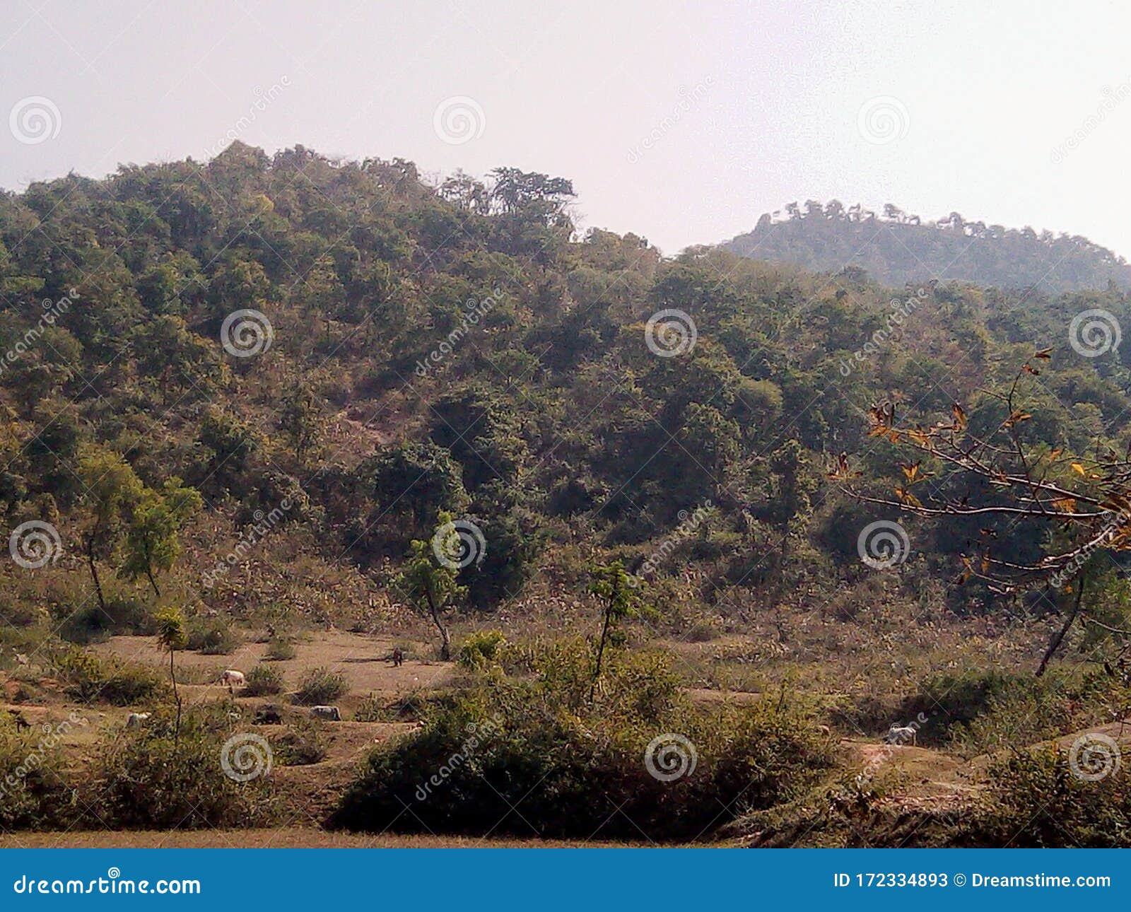 Pahad Beautiful Good Achcha Khubsurat Stock Image - Image of good ...