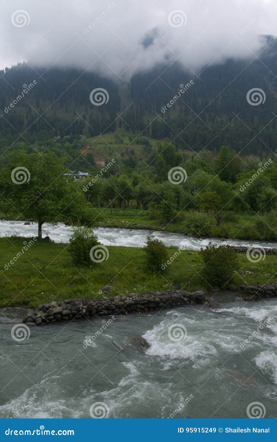 Pahalgam Scenery in Monsoon Stock Image - Image of trees, indian: 95915249