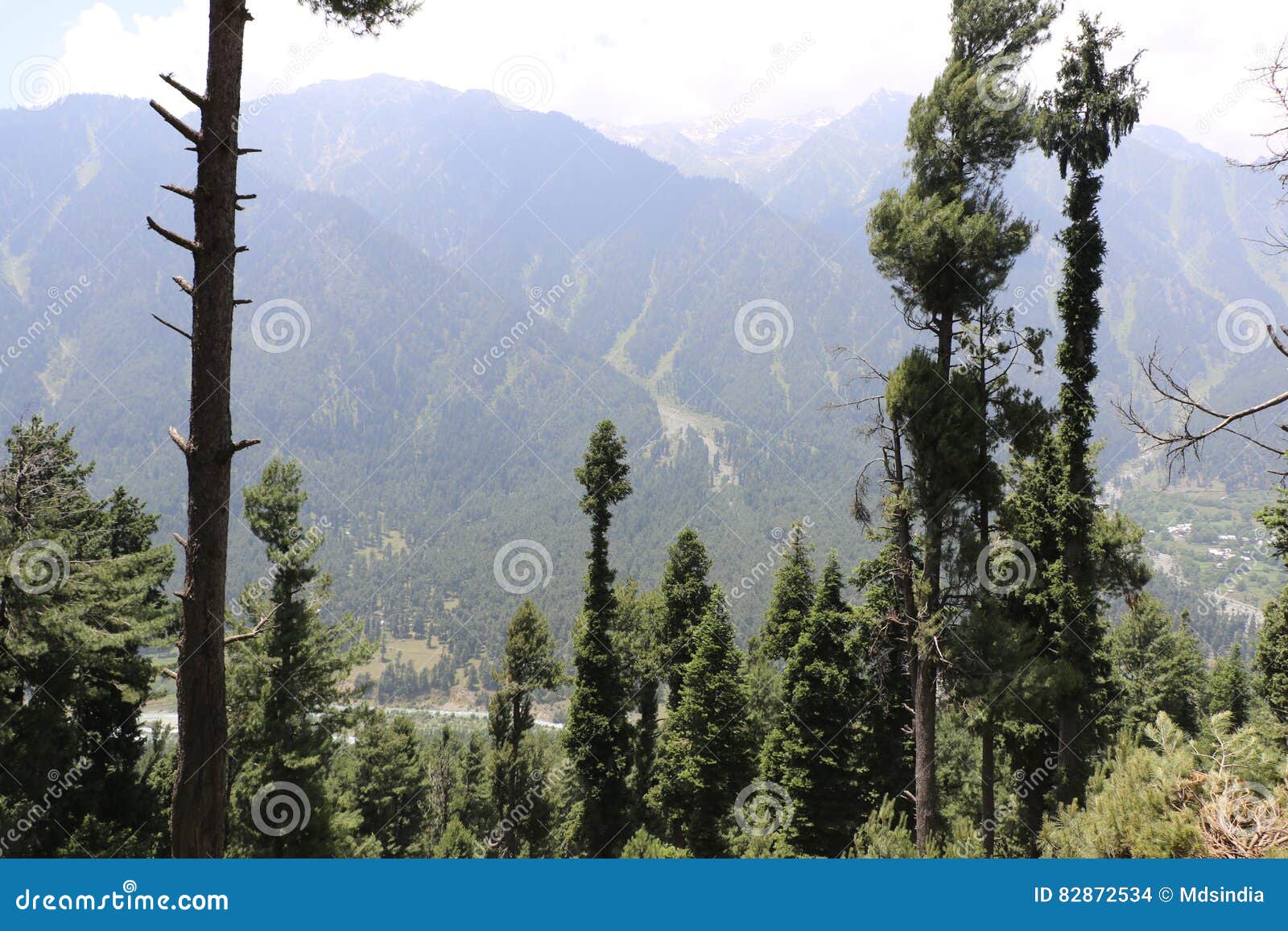Pahalgam Valley in Jammu & Kashmir Stock Photo - Image of blue, sports ...