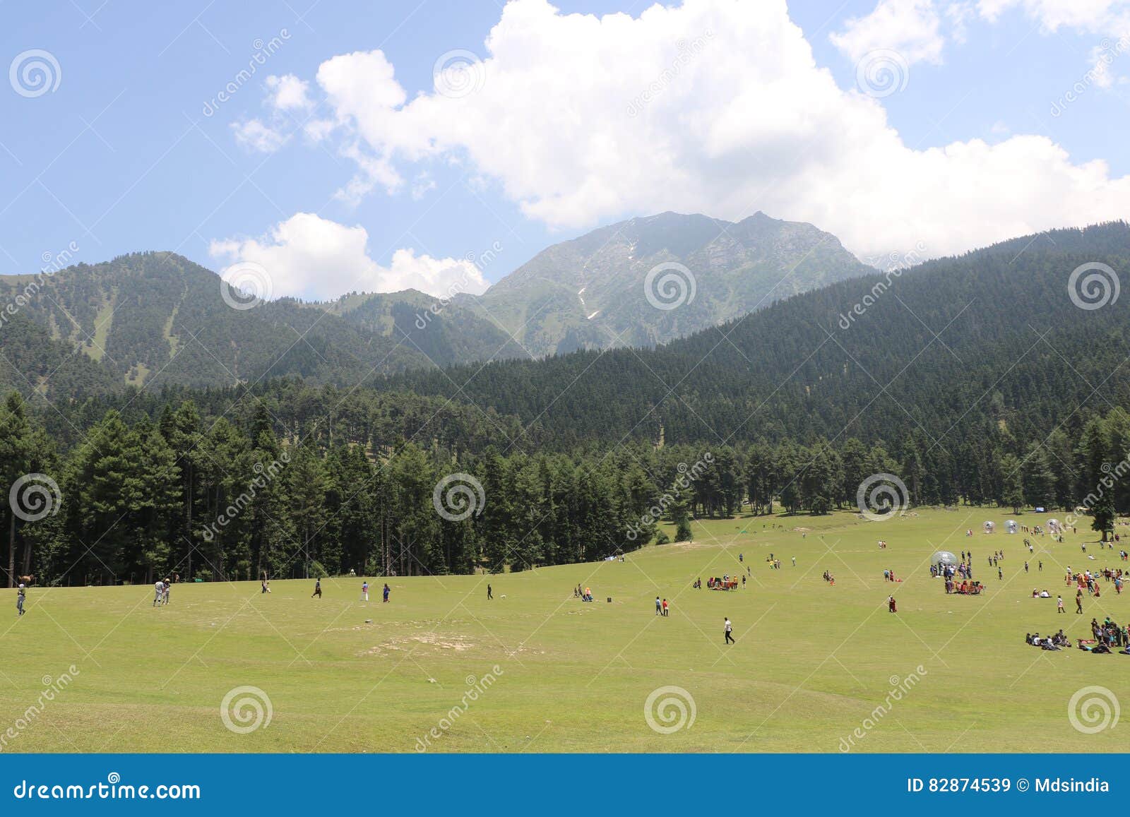 Pahalgam Valley in Jammu & Kashmir Editorial Stock Image - Image of ...