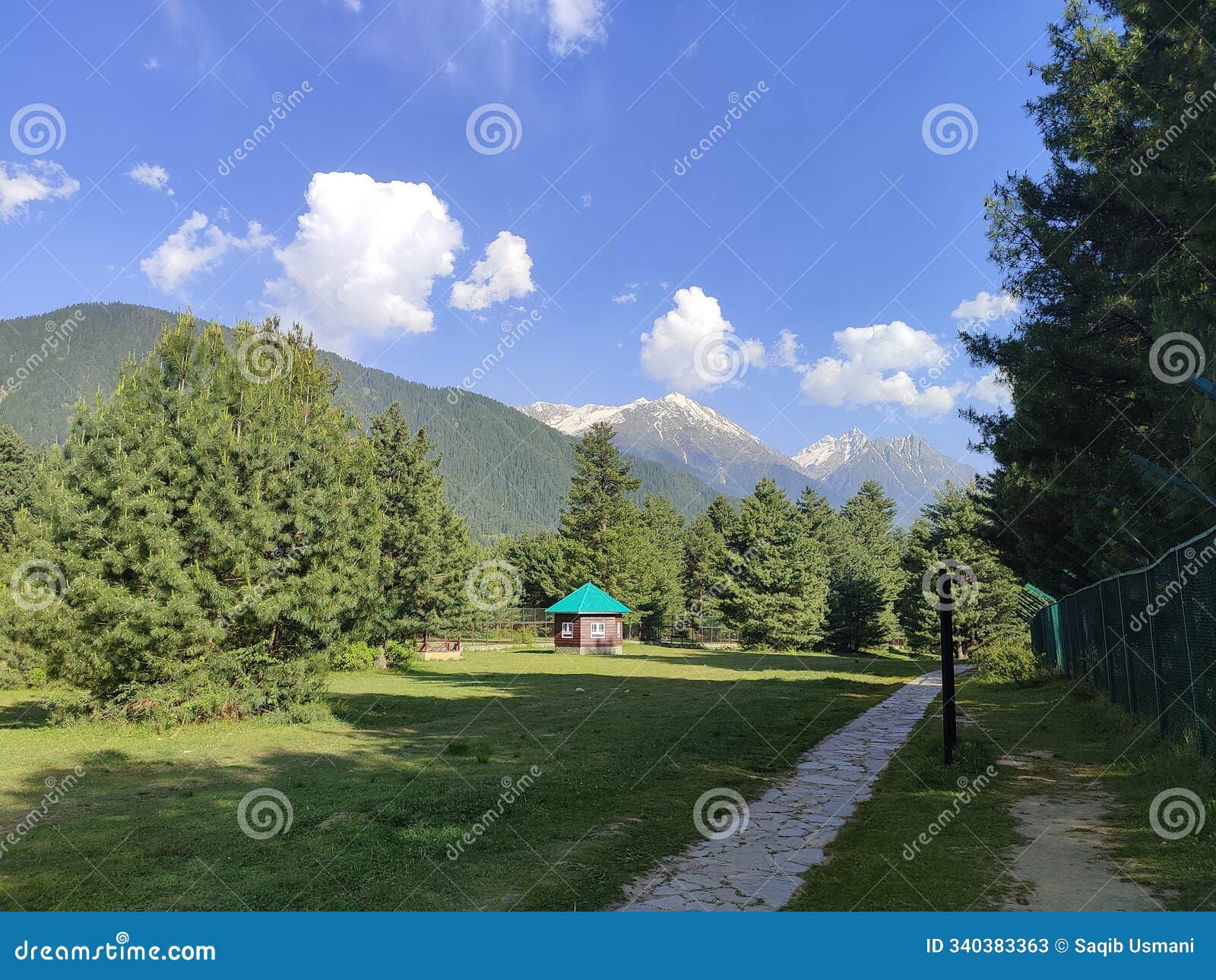 Pahalgam Wildlife Landscape Kashmir Stock Image - Image of hill, lake ...