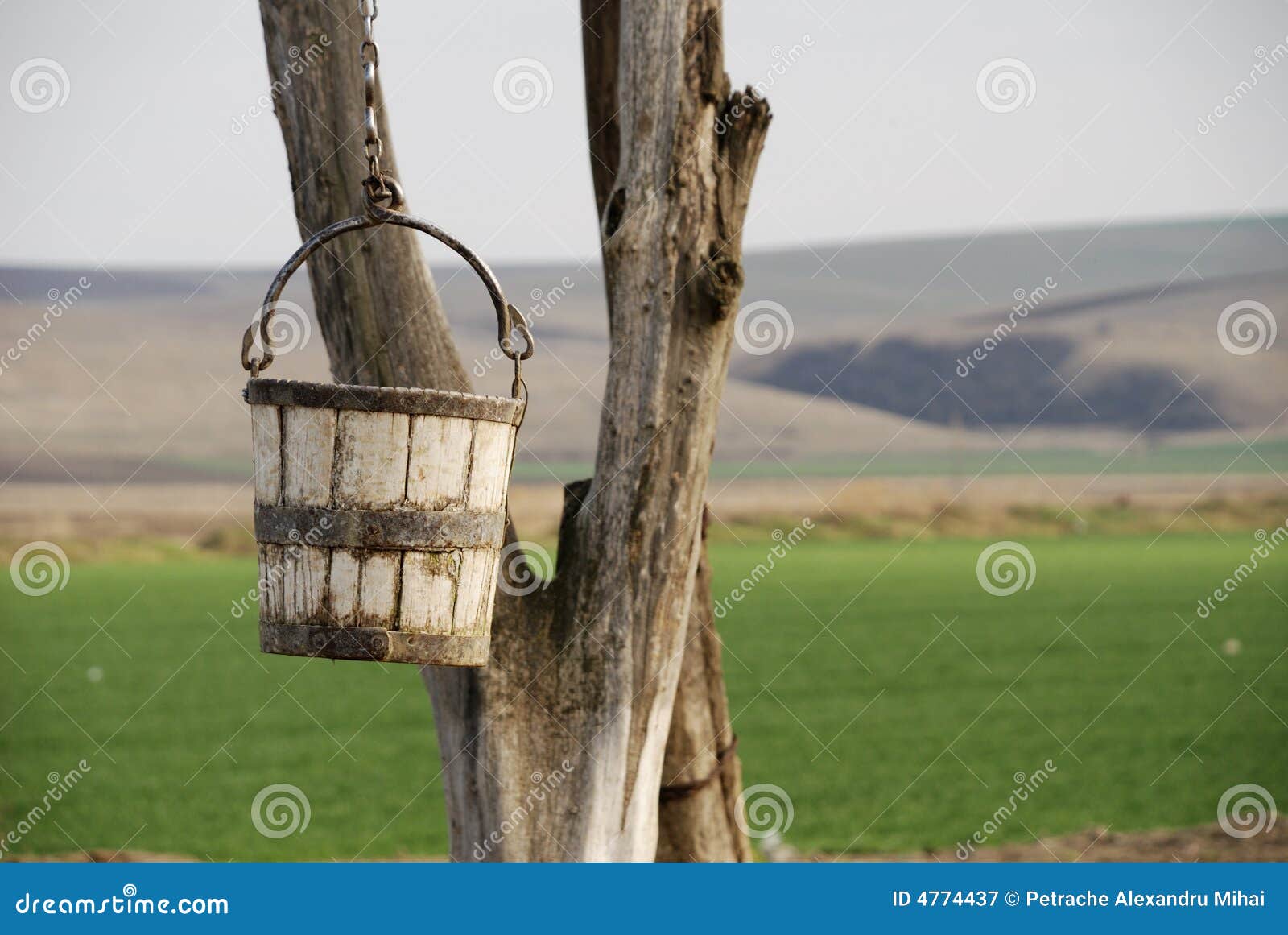 Pail stock image. Image of container, pail, sheet, bail - 4774437