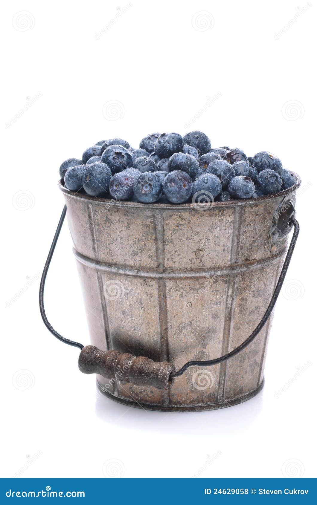 Pail of Fresh Picked Blueberries Stock Photo - Image of fruit, black ...