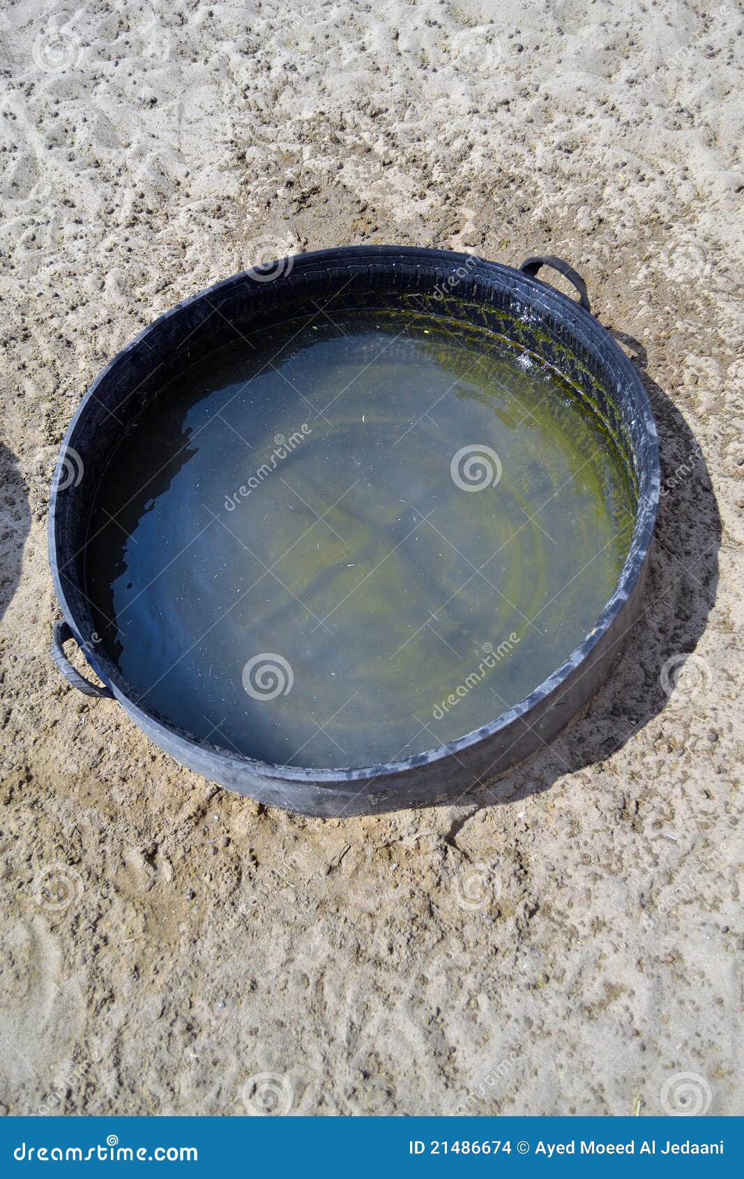 Pail full of water stock photo. Image of full, used, drinking - 21486674