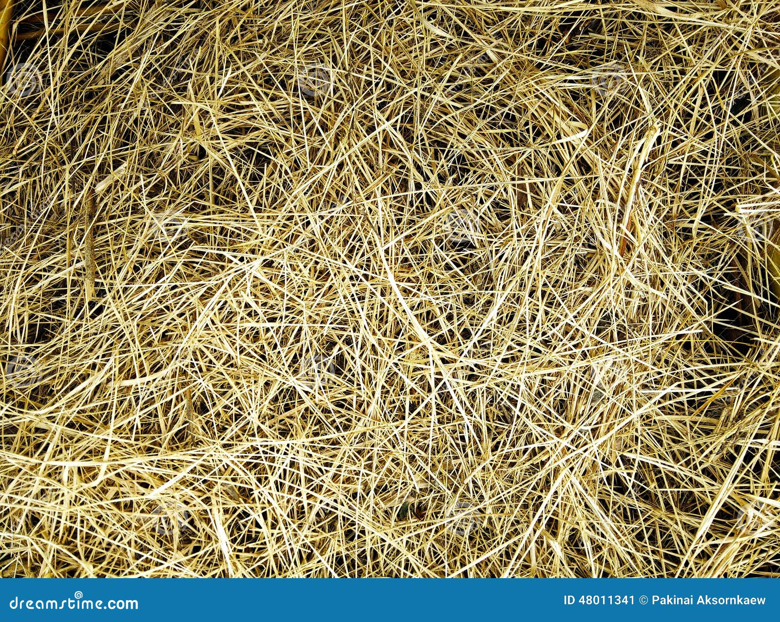 Paille de riz image stock. Image du fleurs, électricité - 48011341
