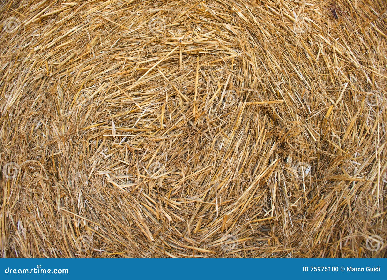 123 Paille Pour Des Chevaux Photos libres de droits et gratuites de ...